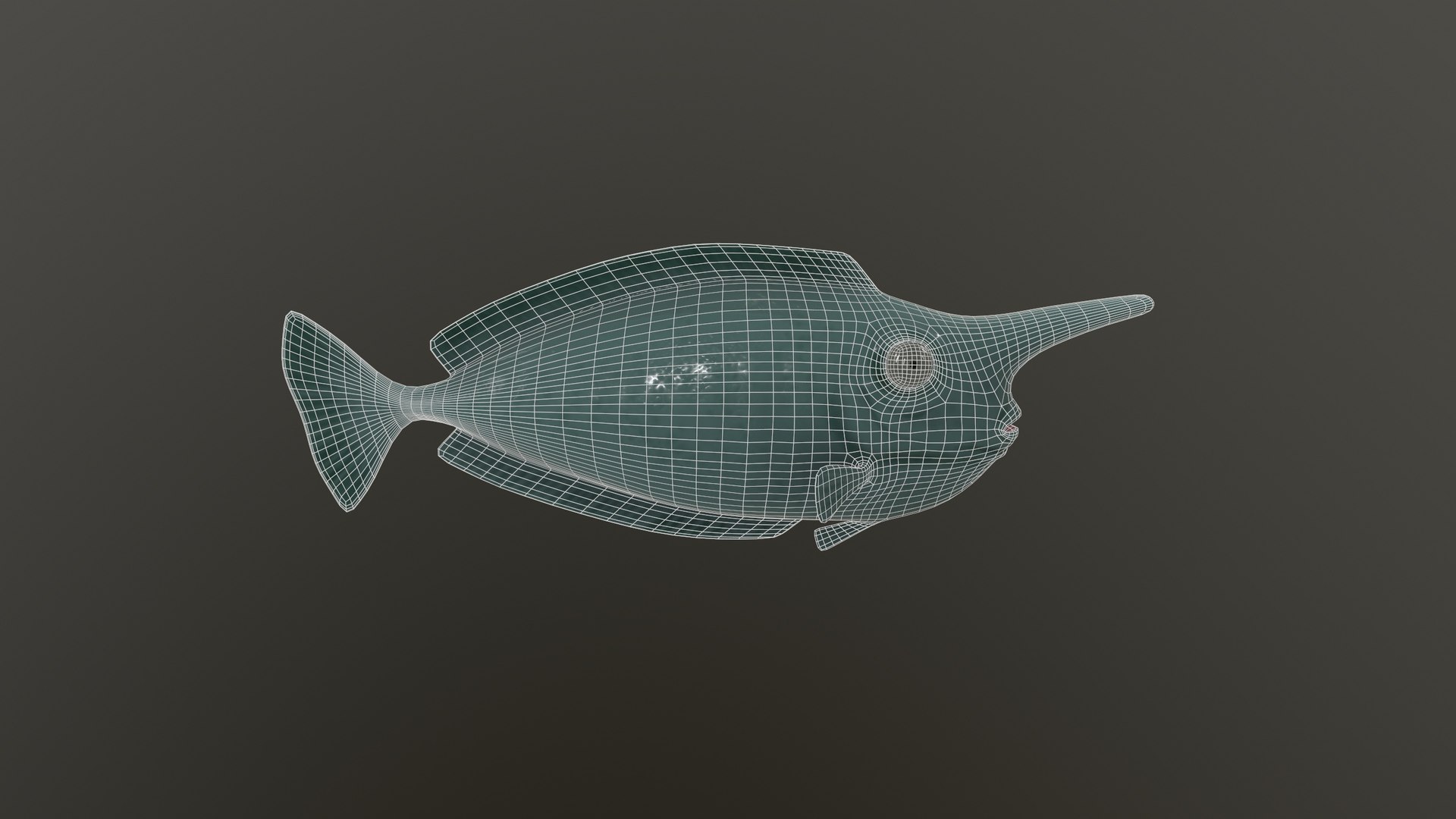 Animation Swimming Model - TurboSquid 1573634