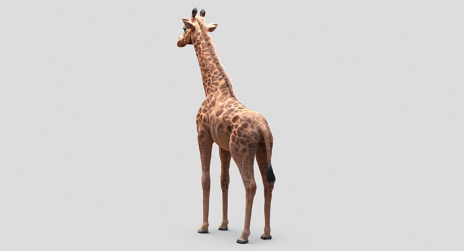 3D Model Realistic Giraffe - TurboSquid 1223680