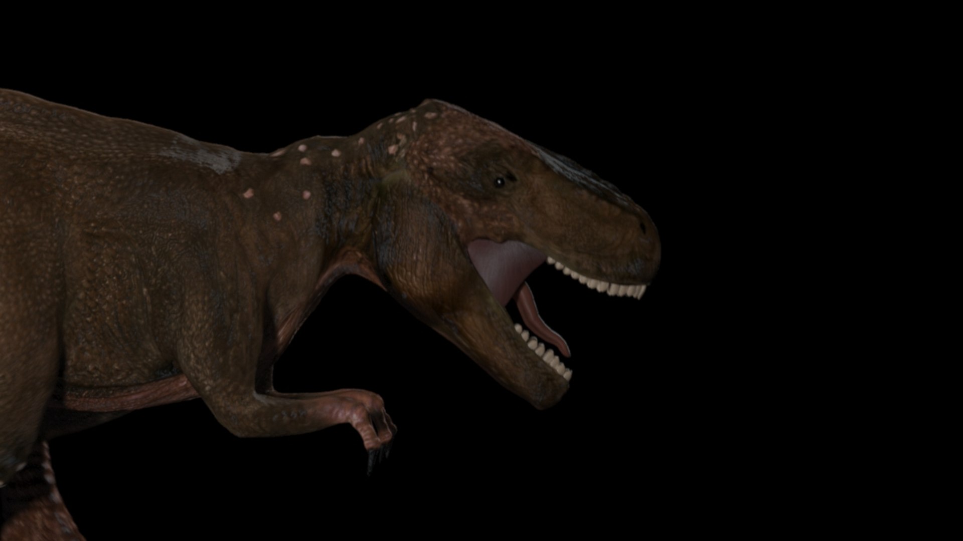 3ds Max Tyrannosaurus Rex