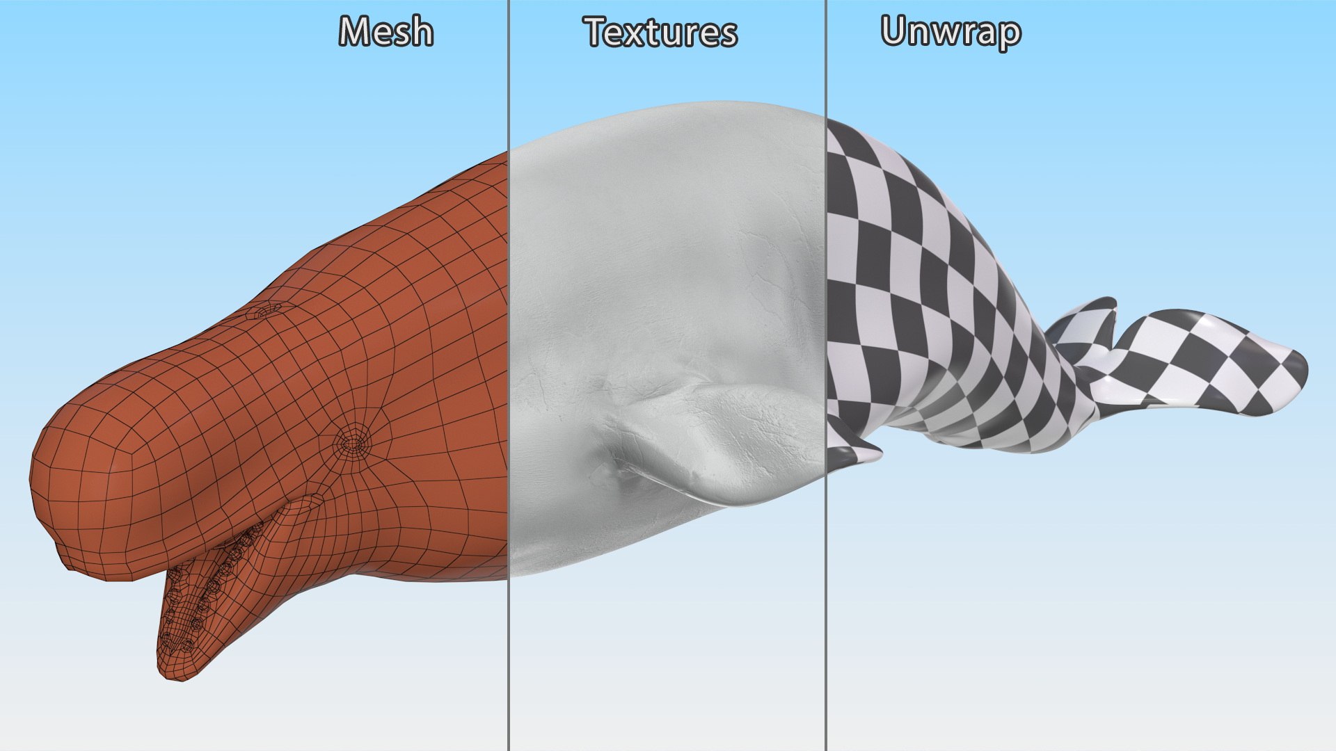Beluga Whale Adult Rigged for Maya 3D - TurboSquid 2052241