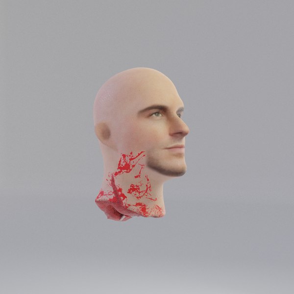 modelo 3d Accidente de cabeza - TurboSquid 2281370