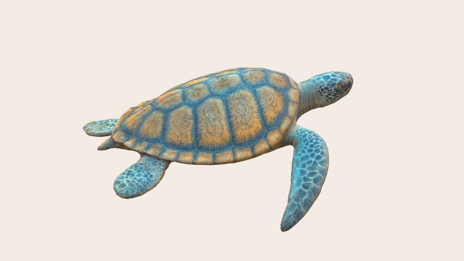 Sea Turtle 3D Model - TurboSquid 2270234