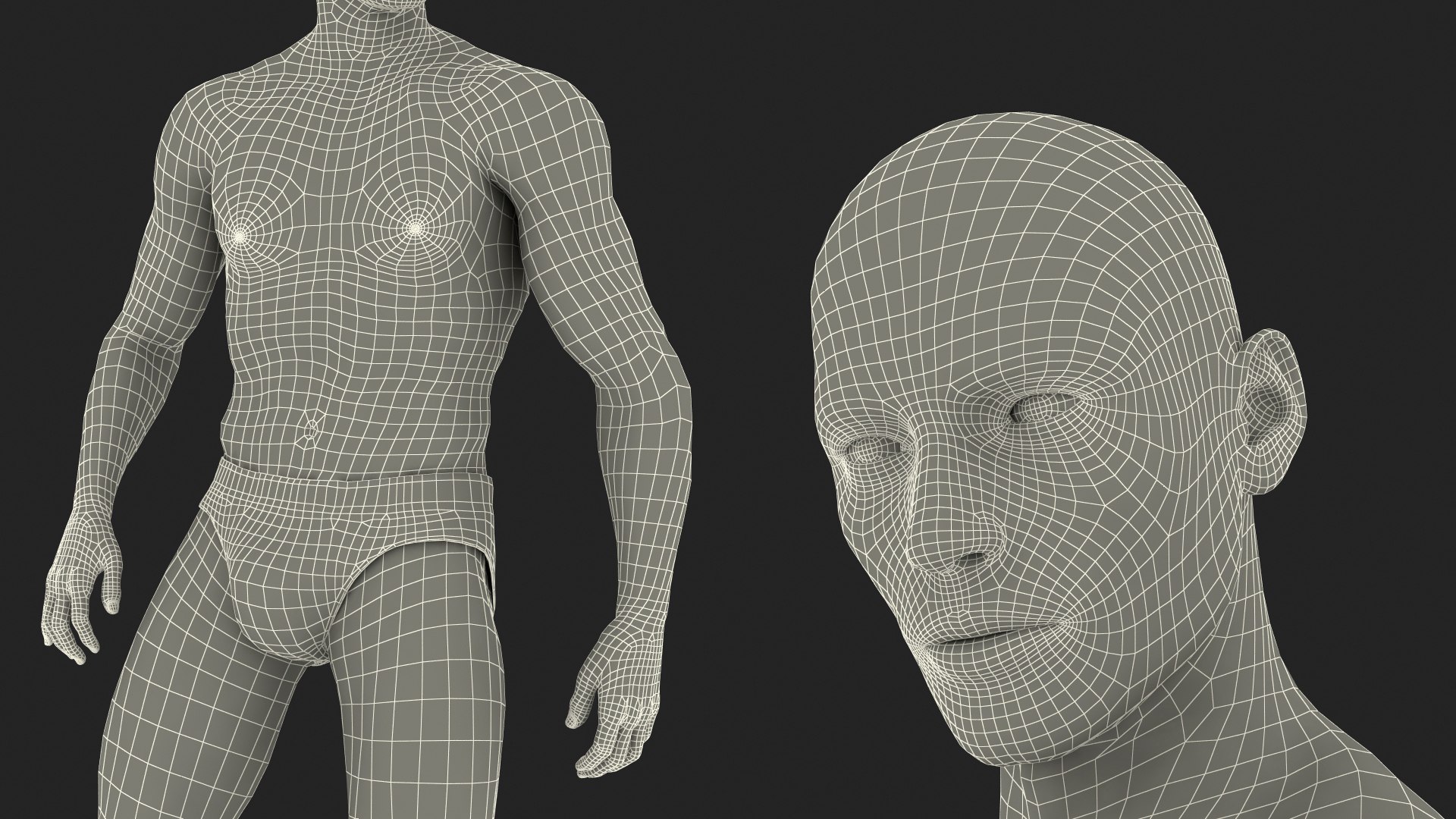 3D Male Athletic Figure In Underwear Fur - TurboSquid 2323183