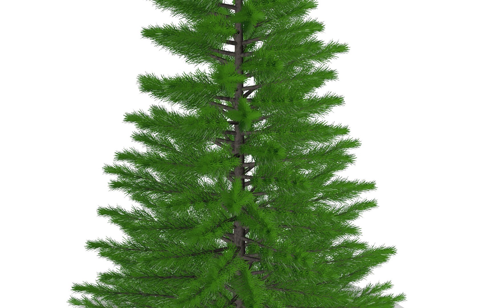 3D Christmas Tree - TurboSquid 1469173