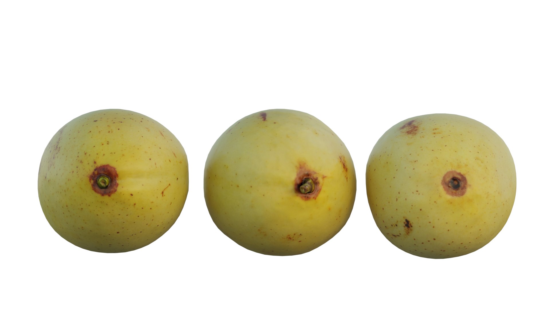 Mango 07 Model - TurboSquid 1927024