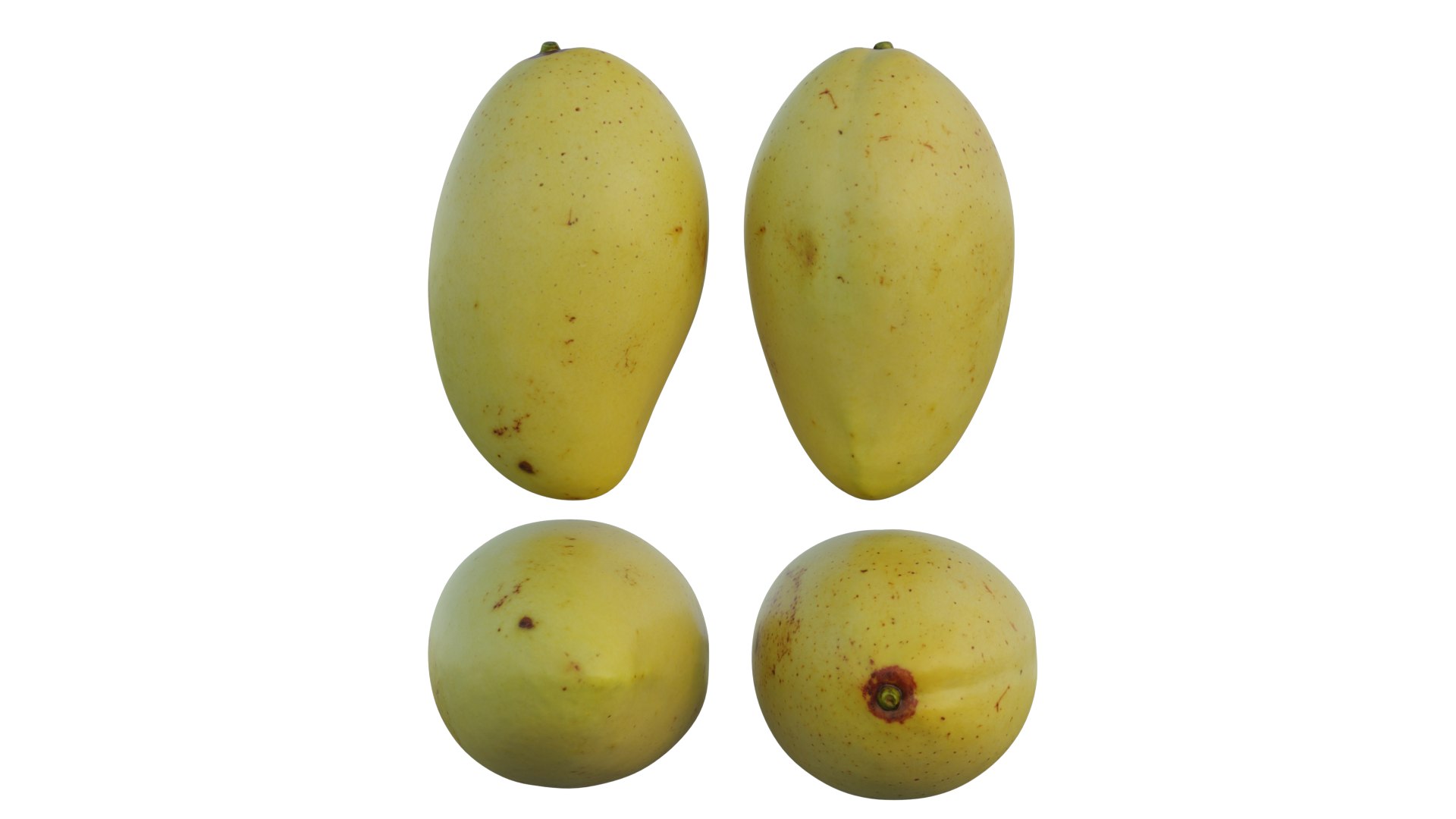 Mango 07 Model - TurboSquid 1927024