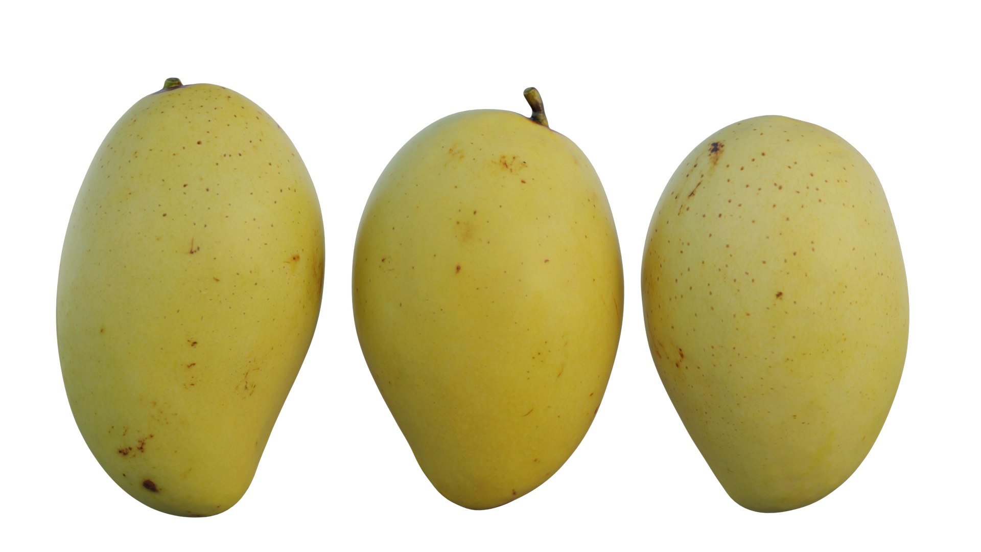 Mango 07 Model - TurboSquid 1927024