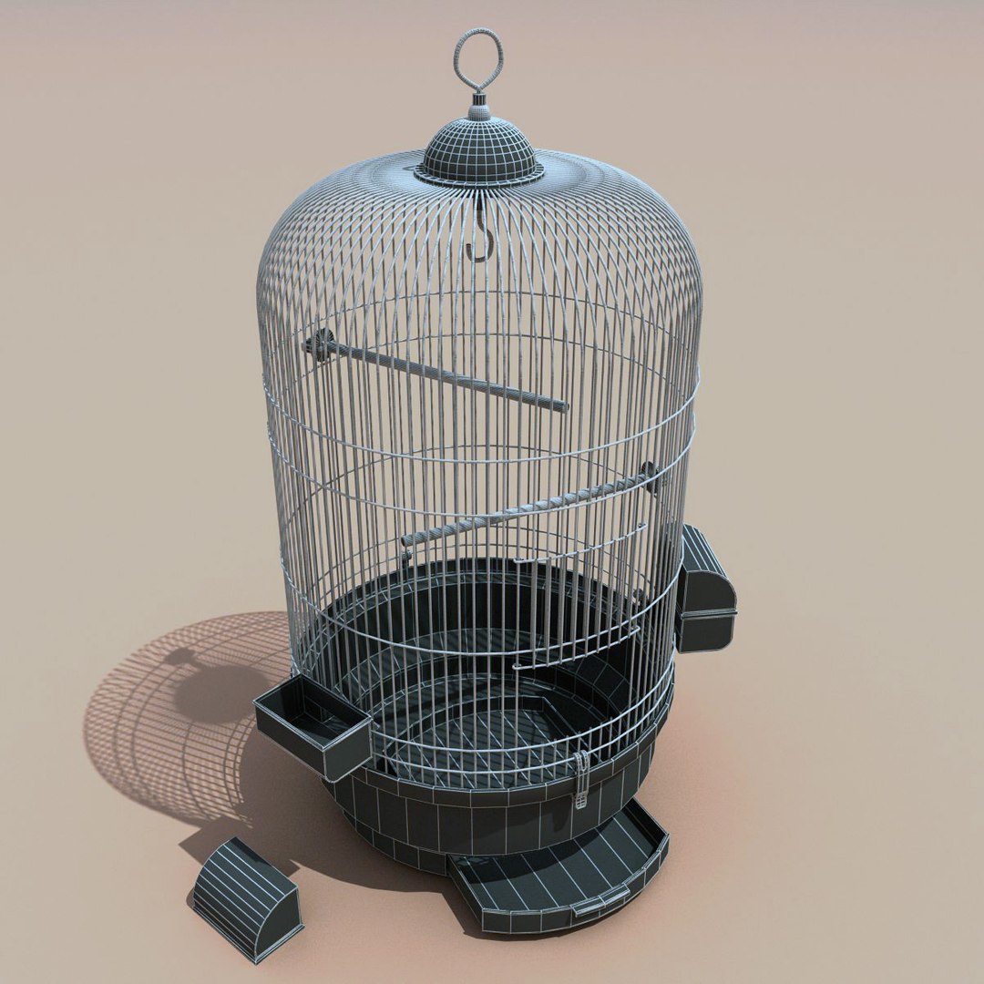 3d Bird Cage V2