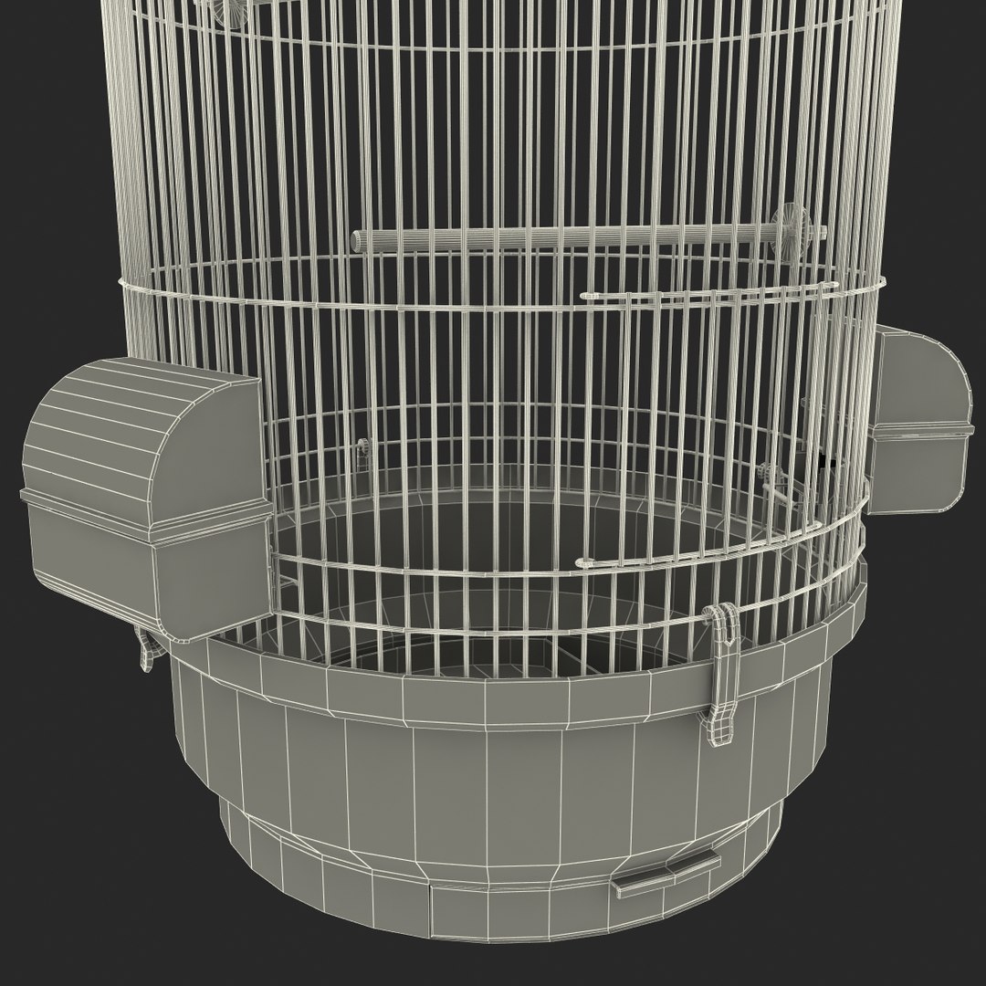 3d Bird Cage V2