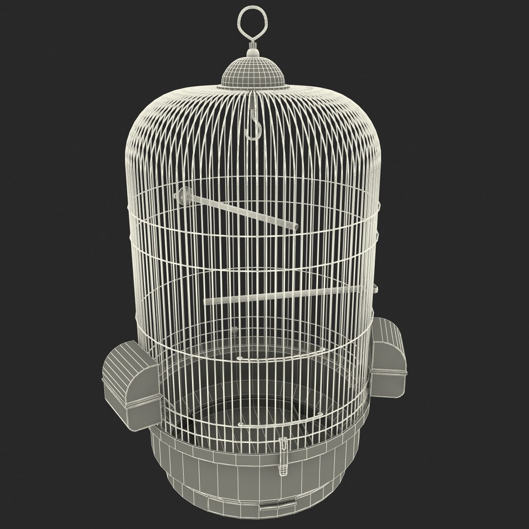 3d Bird Cage V2