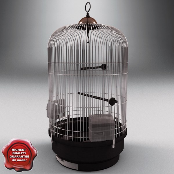 old bird cage 3d model