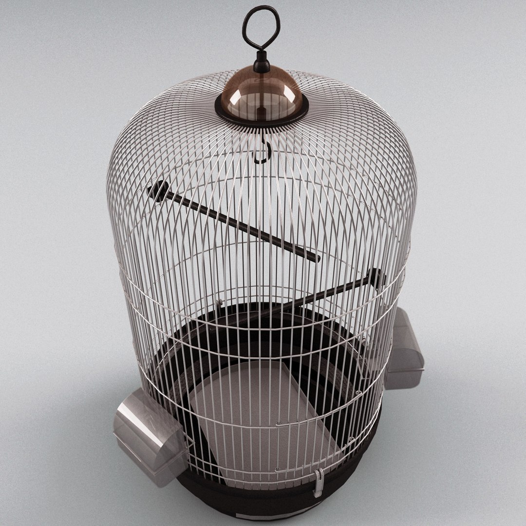 3d Bird Cage V2