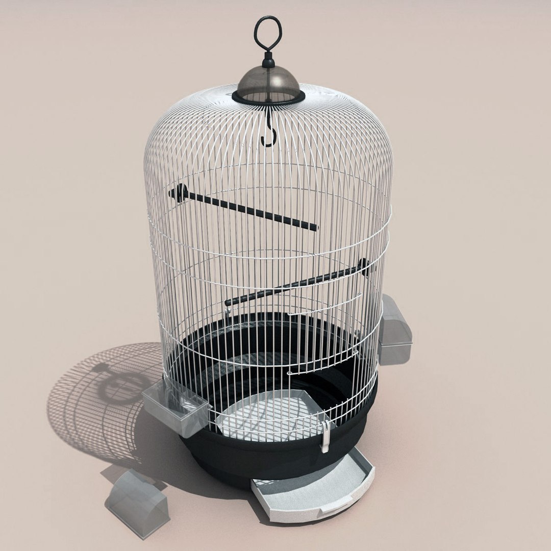 3d Bird Cage V2