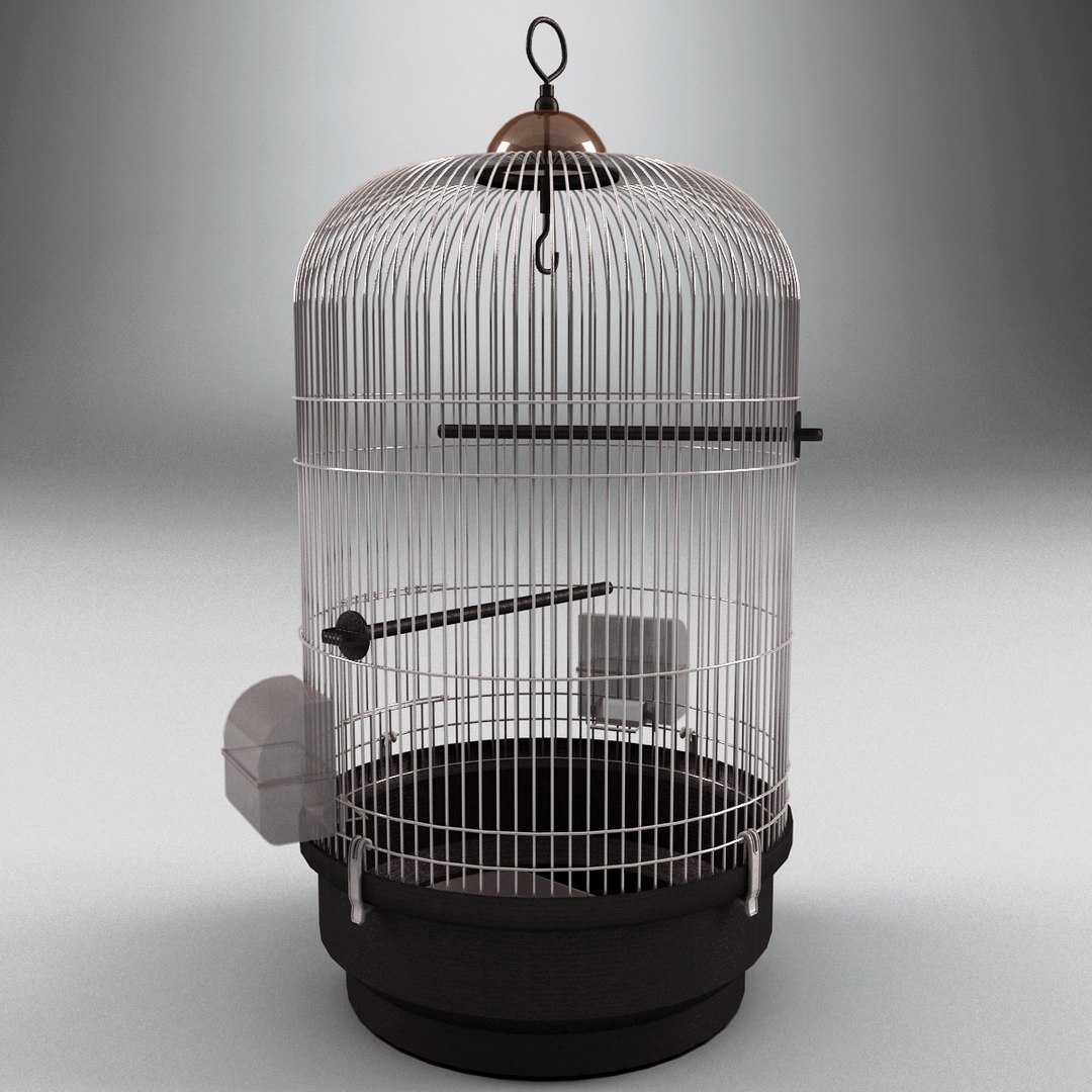 3d Bird Cage V2