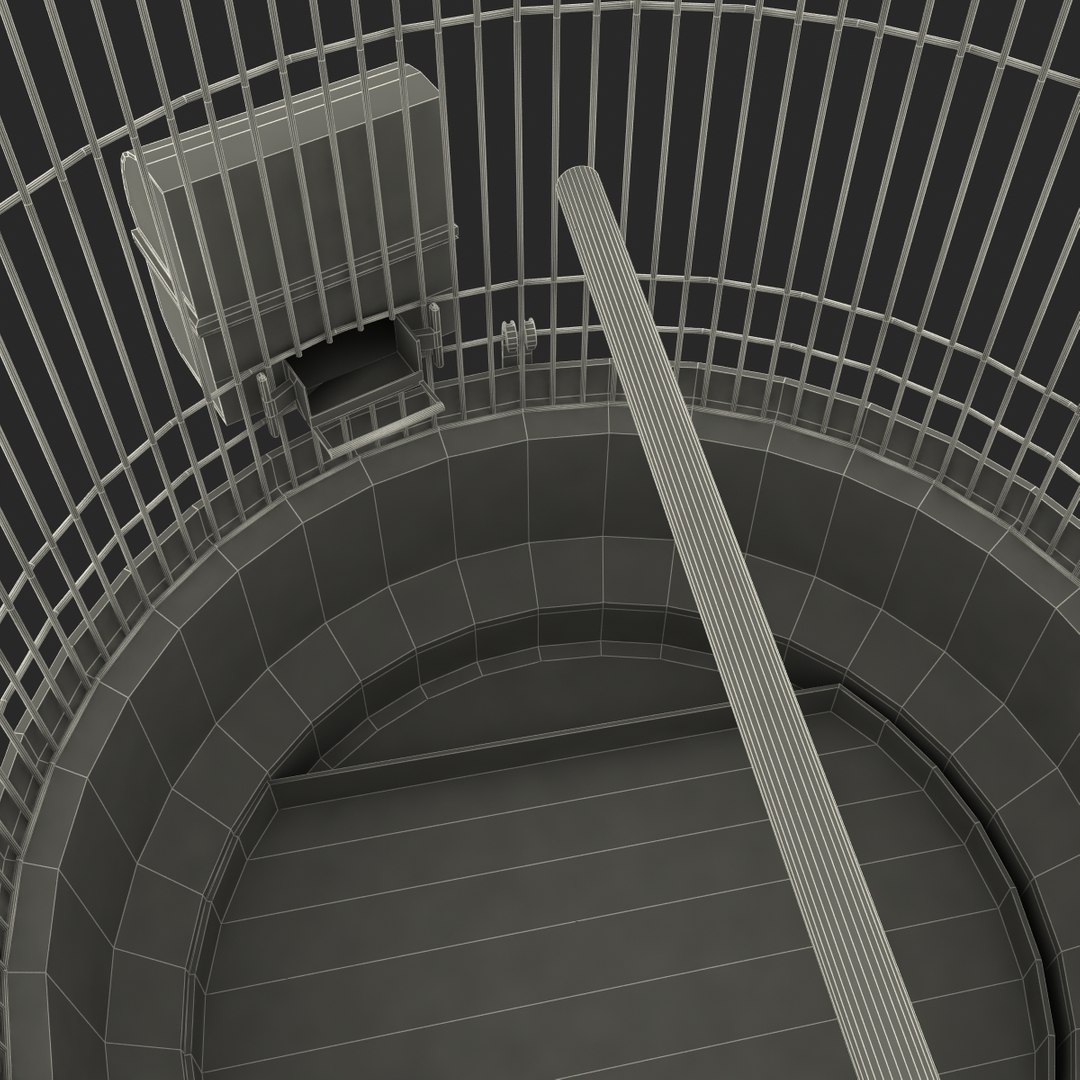3d Bird Cage V2
