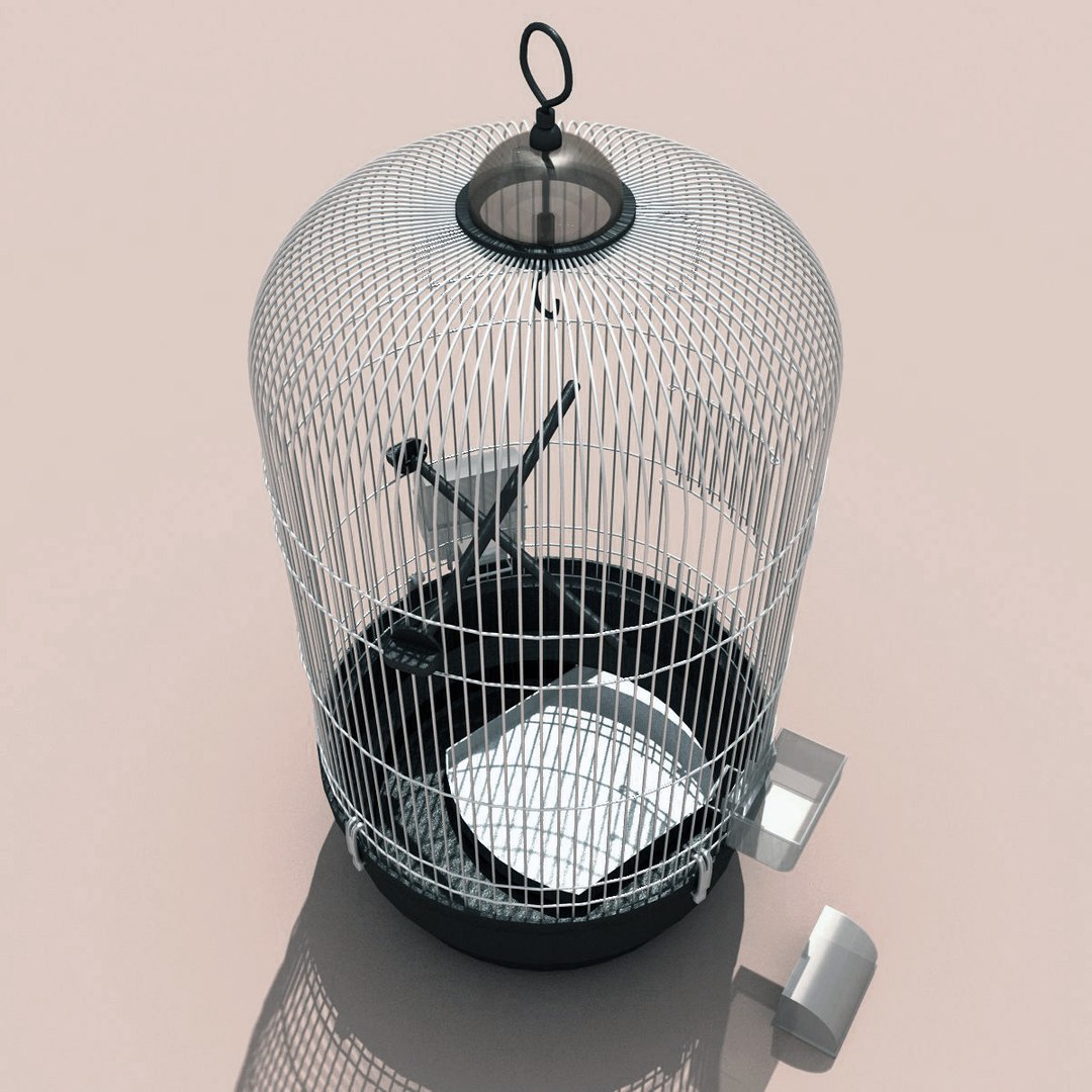 3d Bird Cage V2