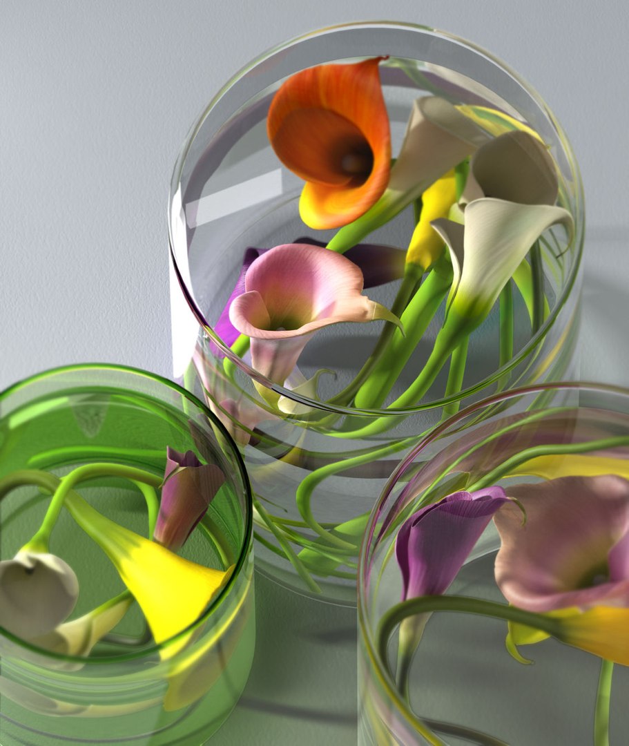 3D Submerged Callas Model - TurboSquid 1225805