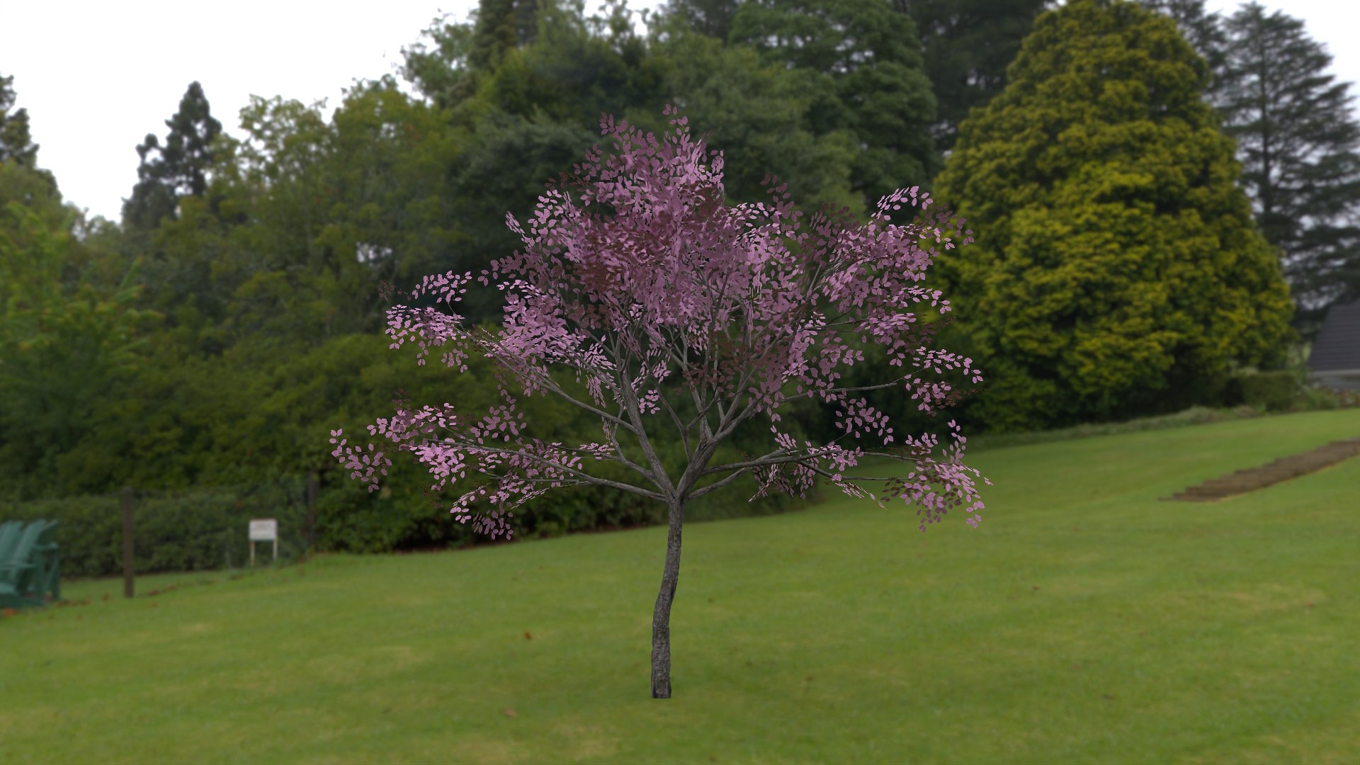 3D prunus summer model - TurboSquid 1620618