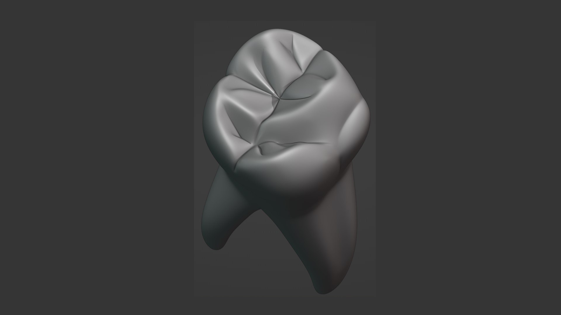 Maxillary First Molar 3D Model - TurboSquid 1911188