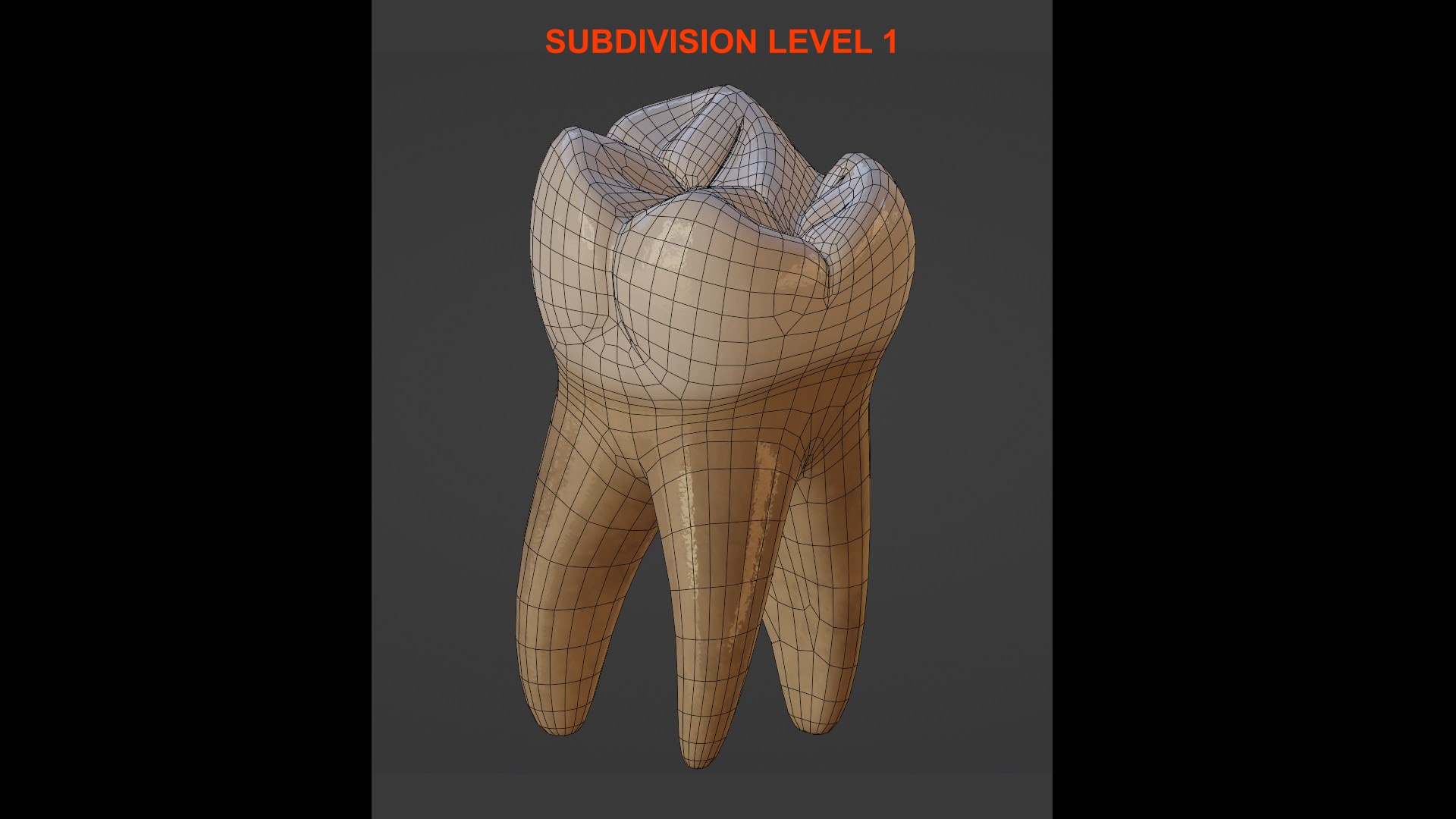 Maxillary First Molar 3D Model - TurboSquid 1911188