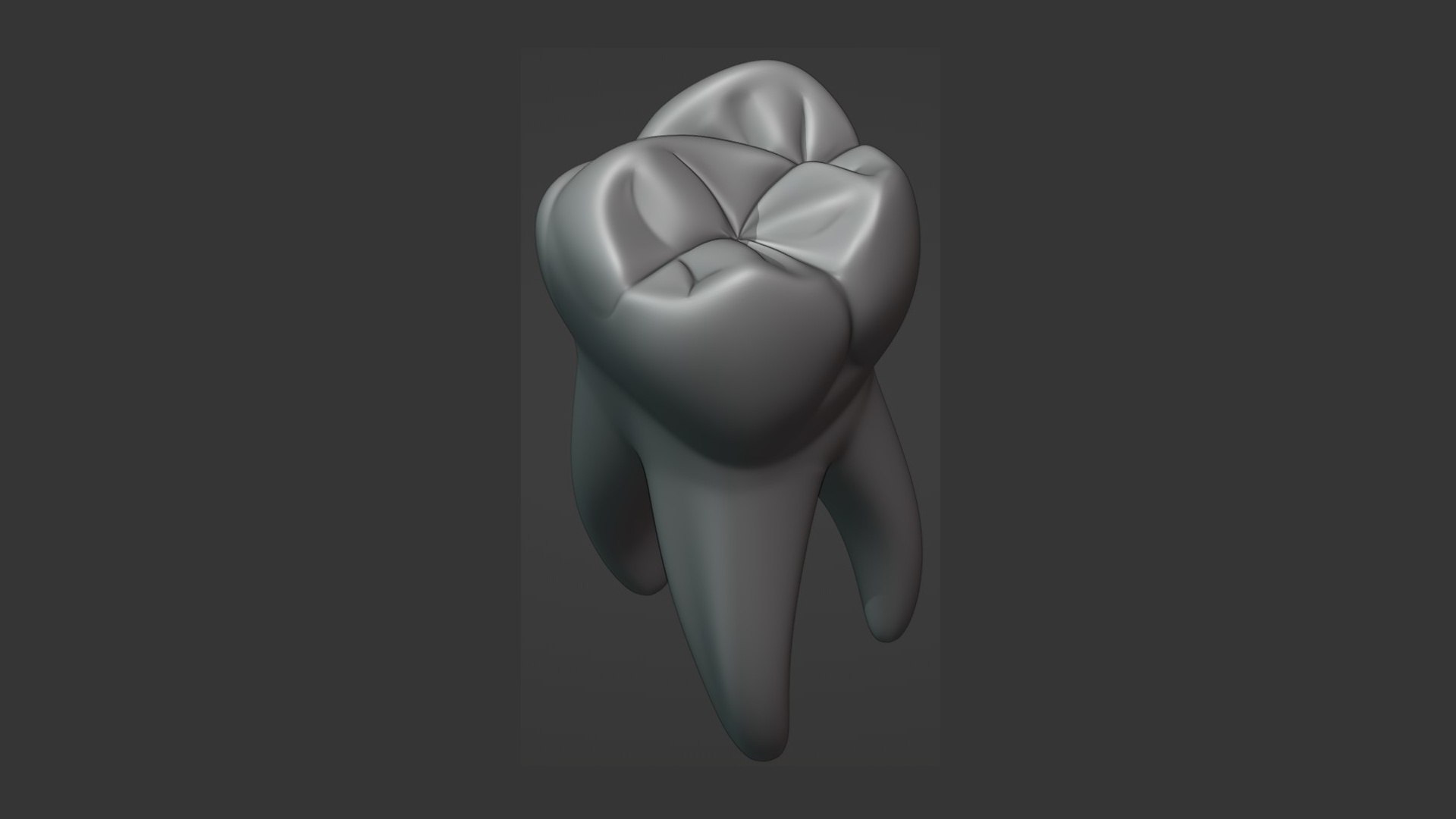 Maxillary First Molar 3D Model - TurboSquid 1911188