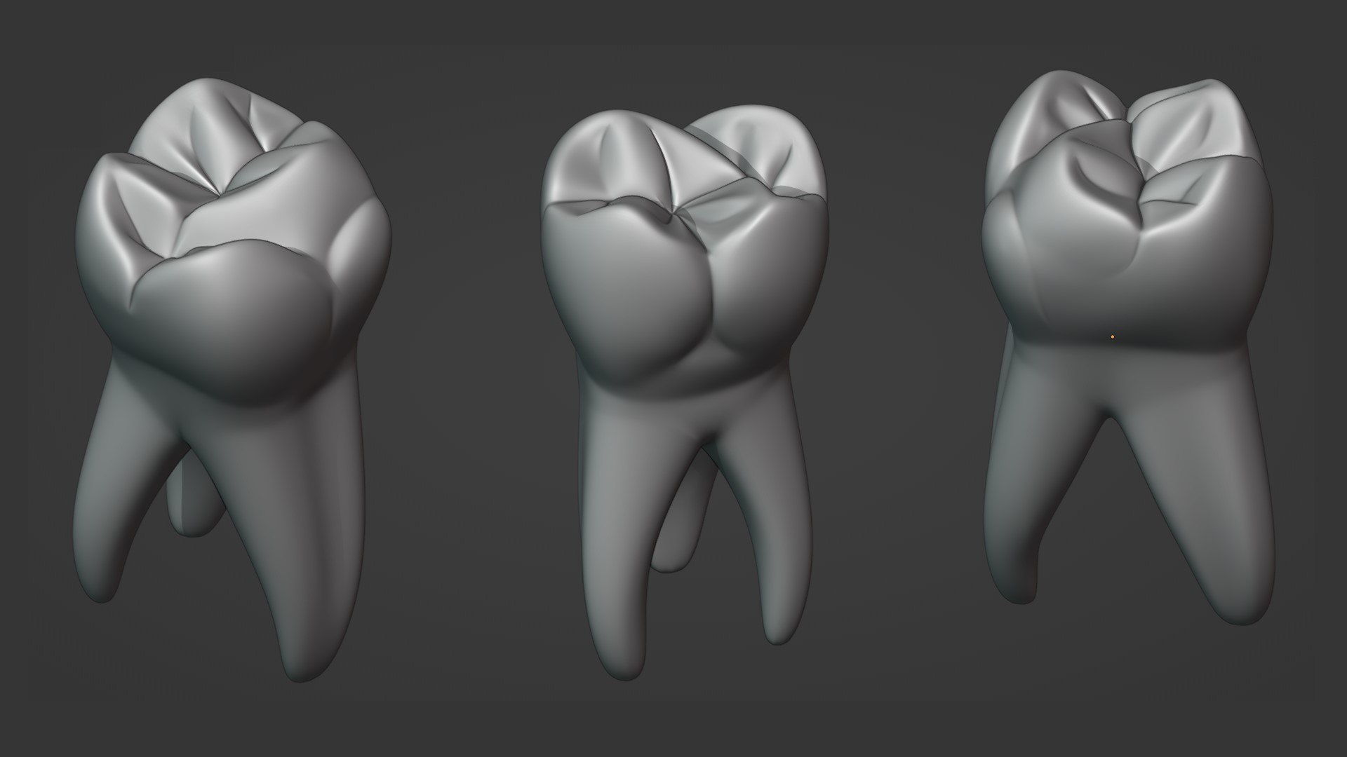 Maxillary First Molar 3D Model - TurboSquid 1911188