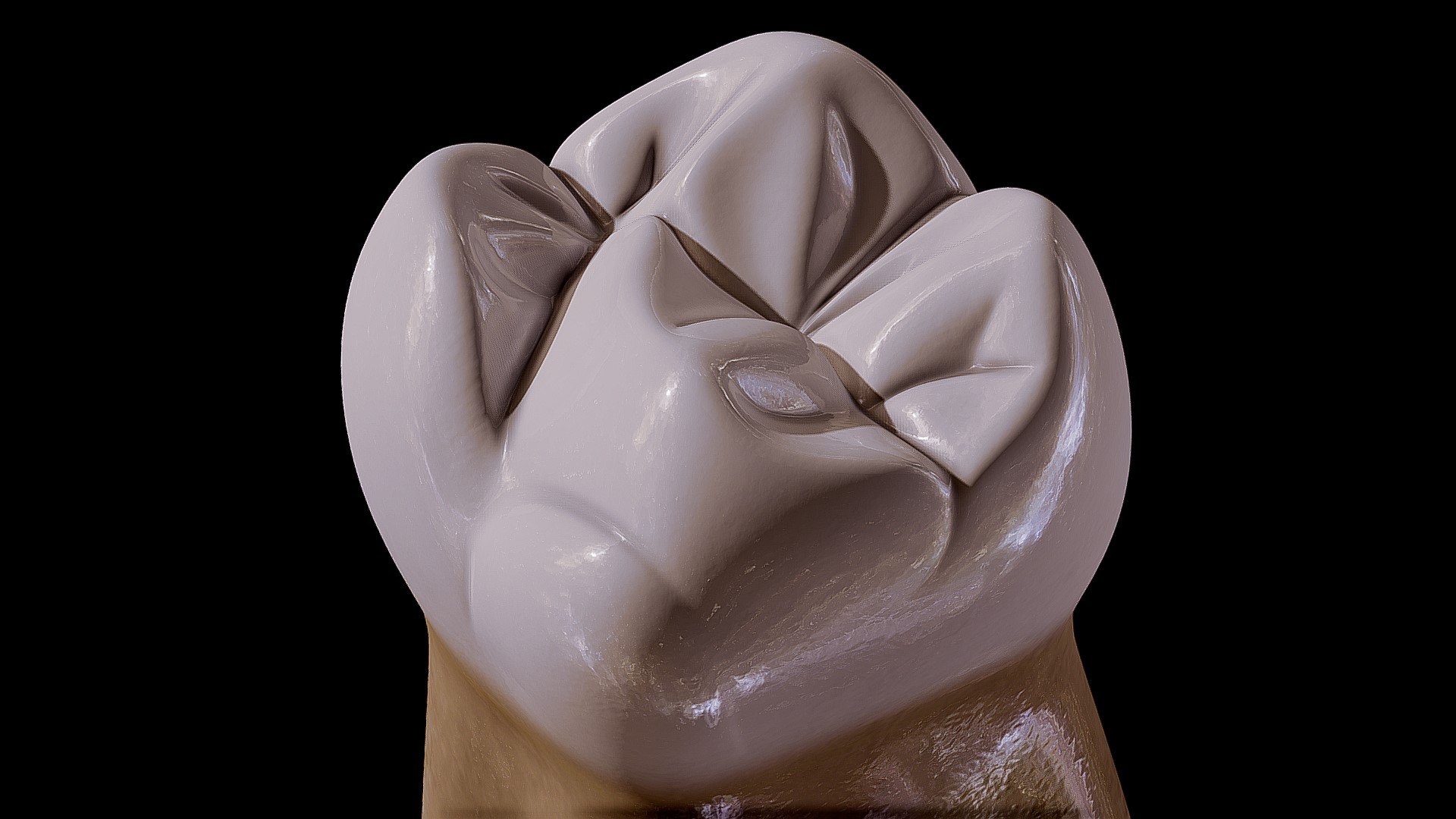 Maxillary First Molar 3D Model - TurboSquid 1911188