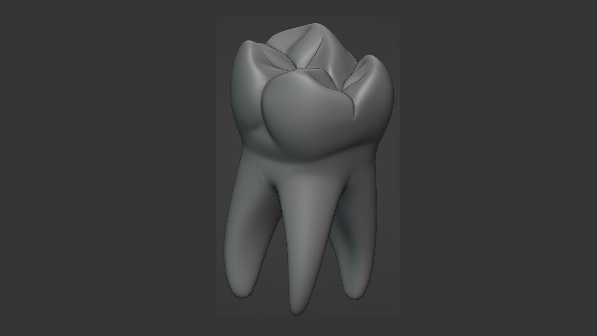 Maxillary First Molar 3D Model - TurboSquid 1911188