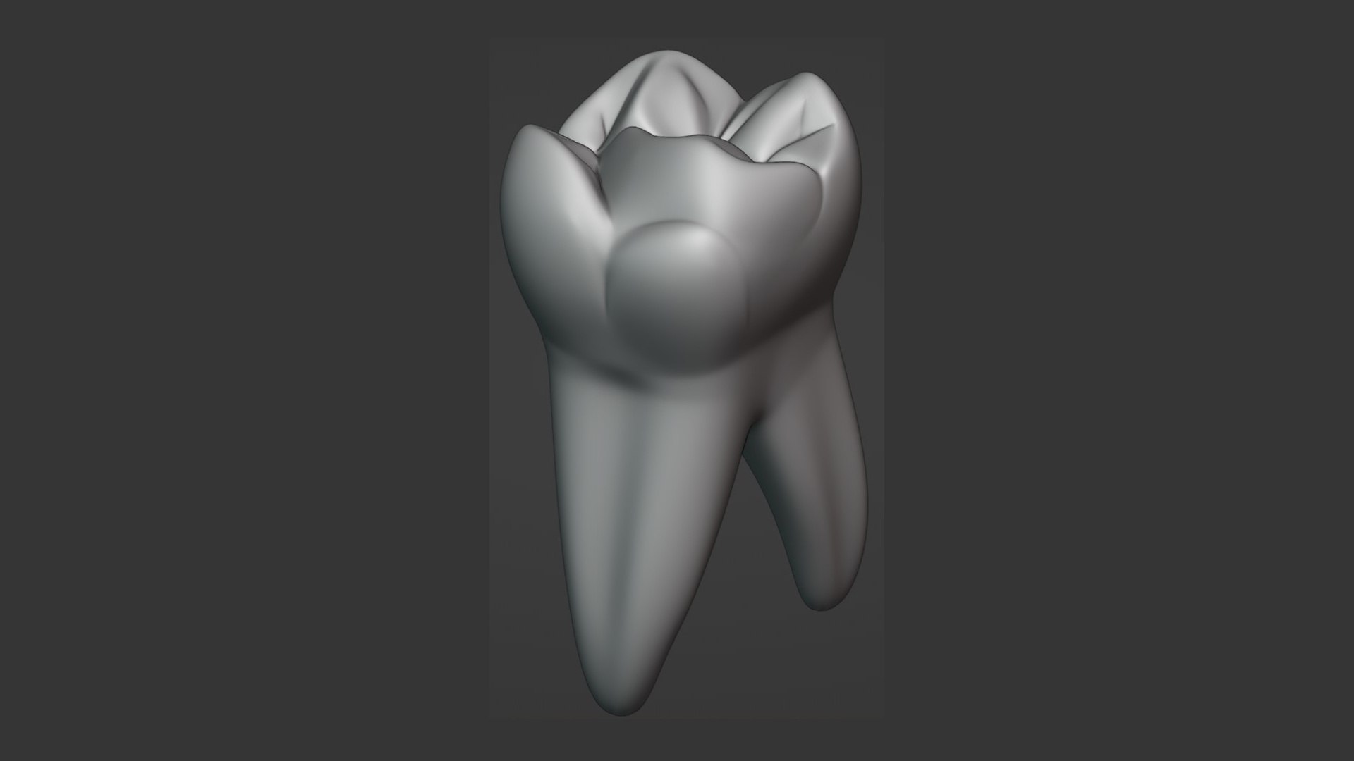 Maxillary First Molar 3D Model - TurboSquid 1911188