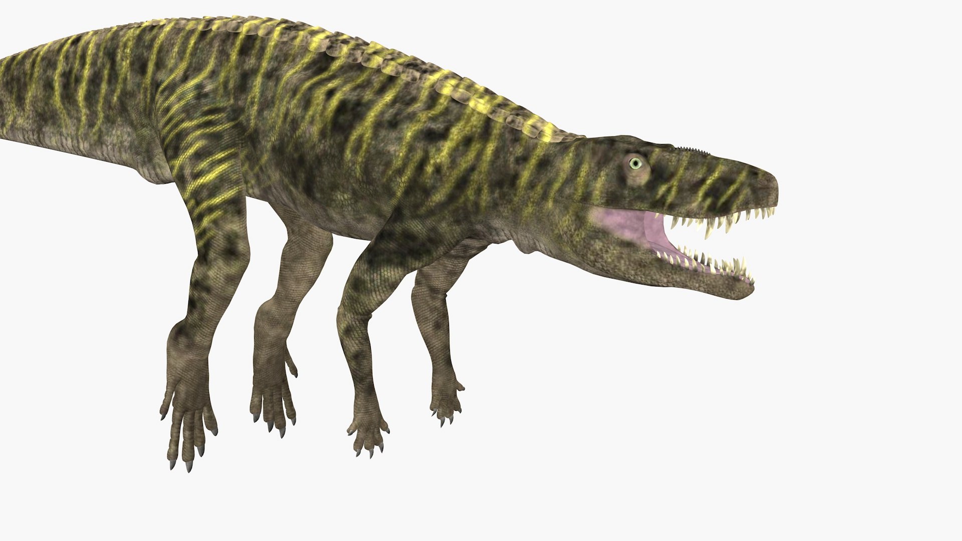 3D Batrachotomus Dinosaur - TurboSquid 2340918