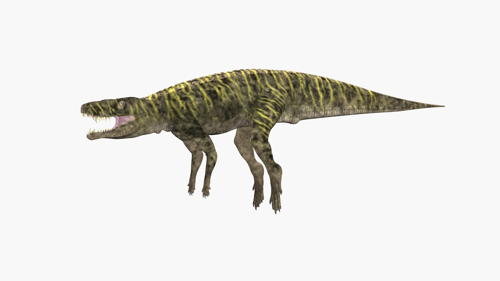 3D Batrachotomus Dinosaur - TurboSquid 2340918