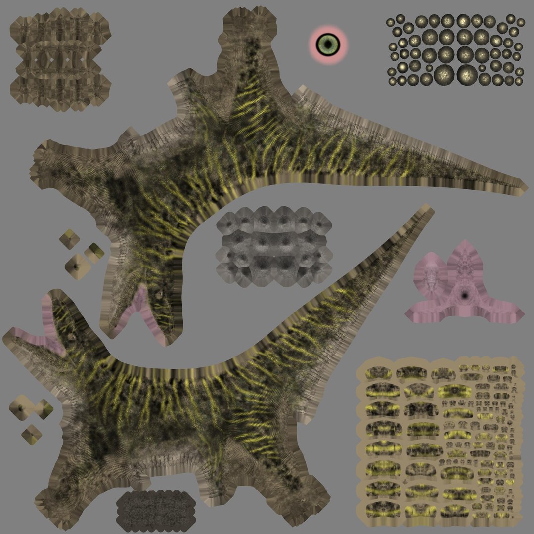 3D Batrachotomus Dinosaur - TurboSquid 2340918