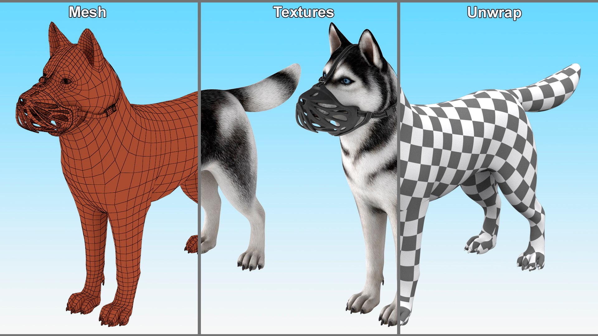 3D Siberian Husky With Muzzle Model - TurboSquid 2264873