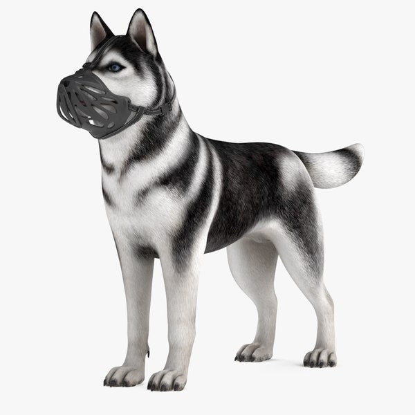 Perro Gratis 3D Modelos para Descargar | TurboSquid