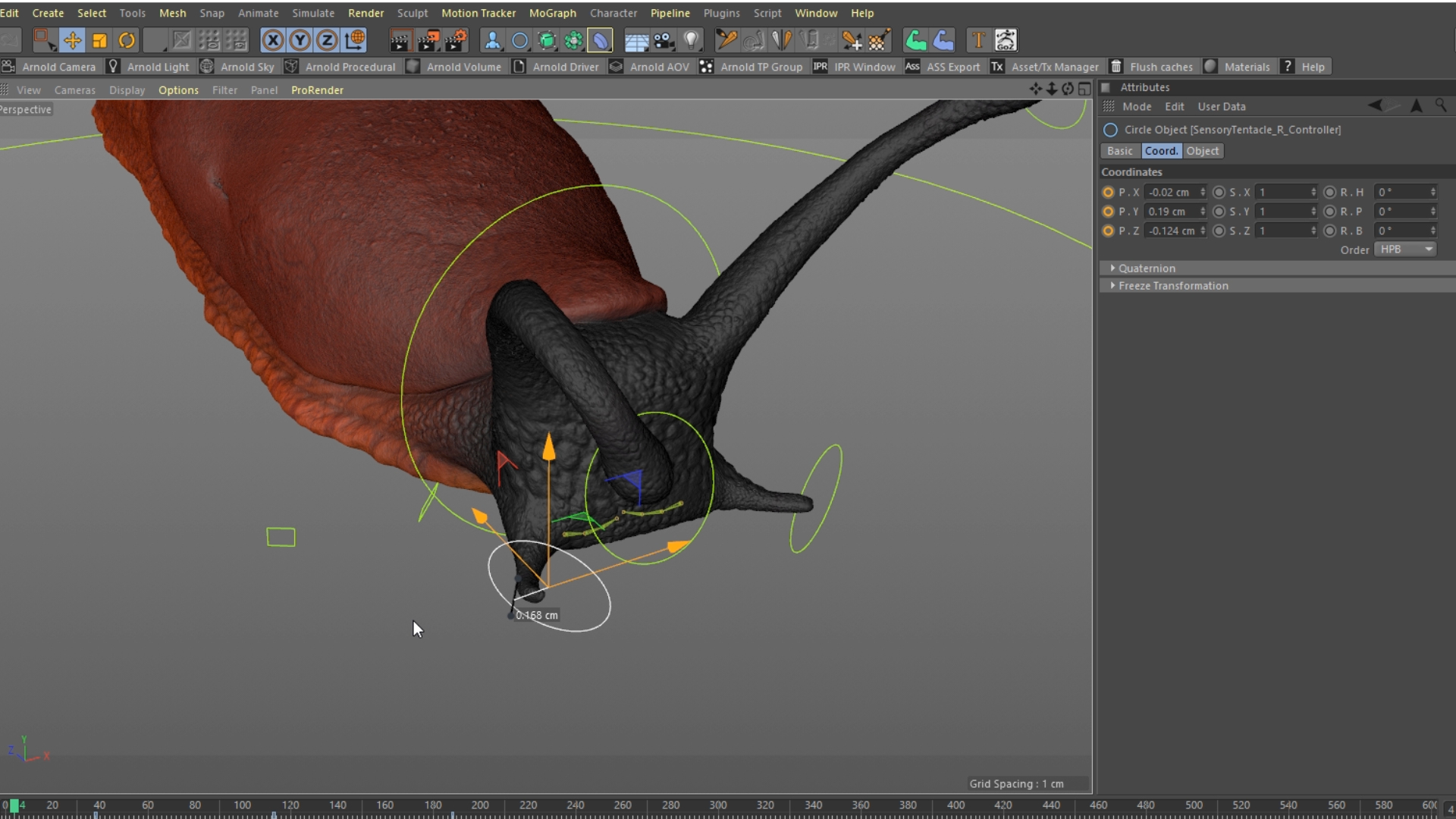 Arion vulgaris model - TurboSquid 1324042