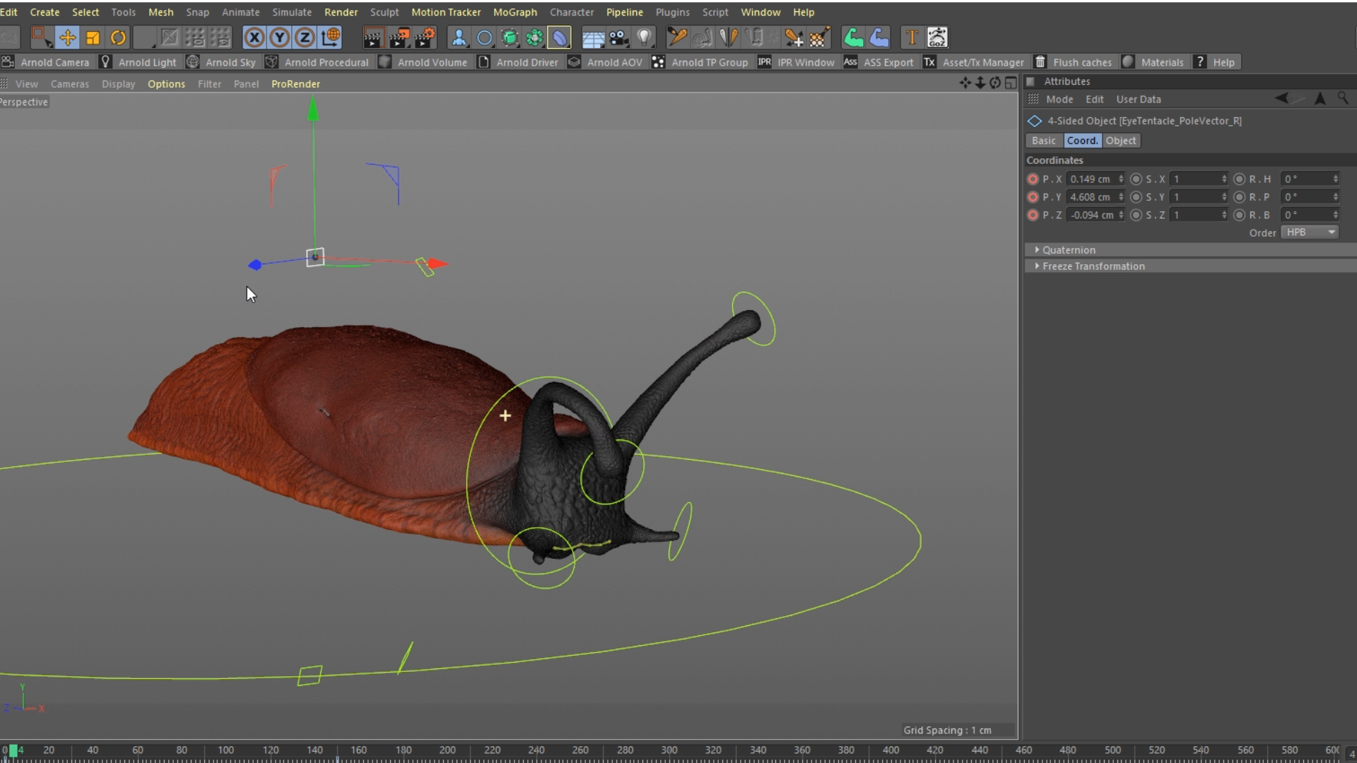 Arion Vulgaris Model - TurboSquid 1324042