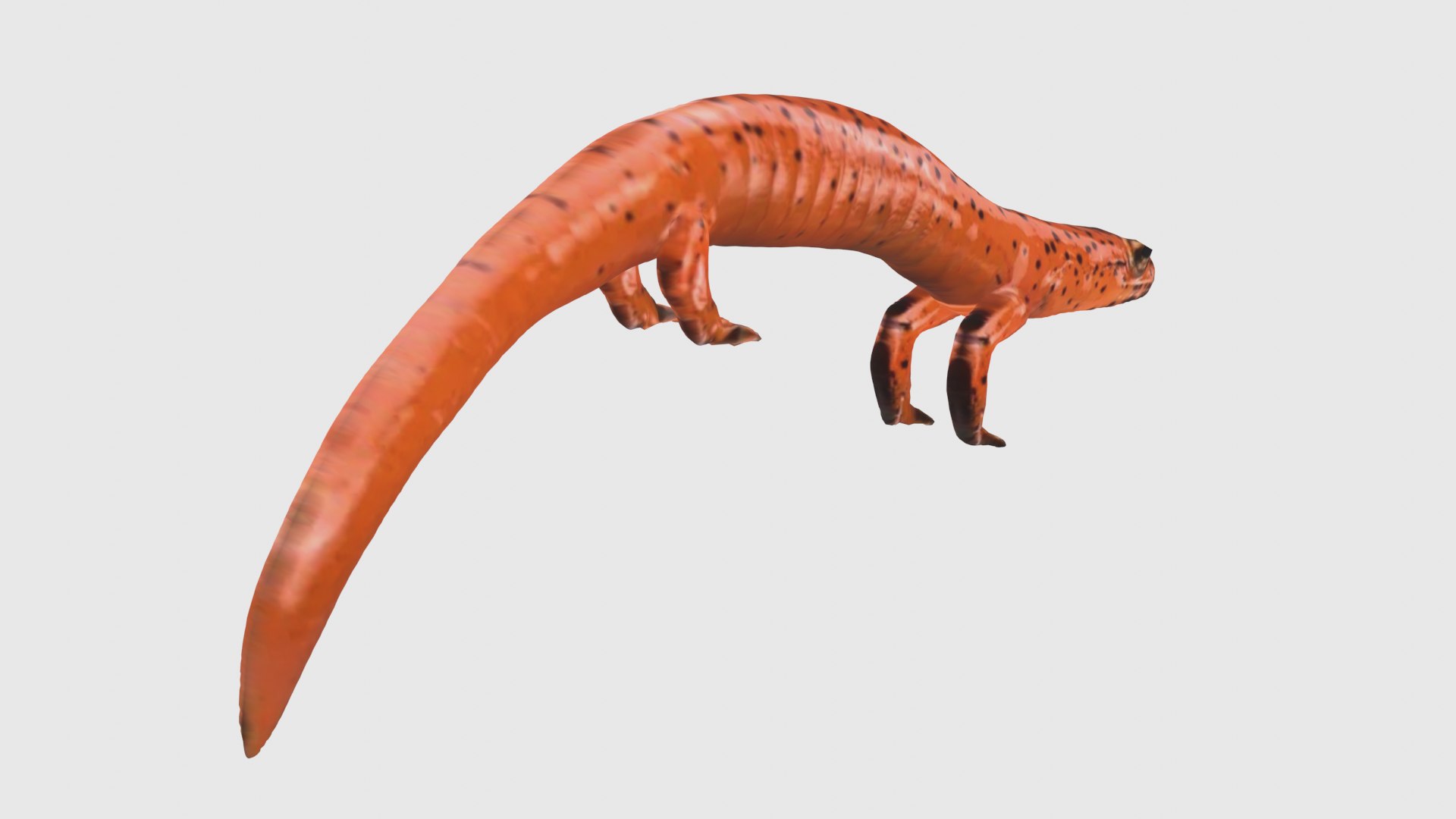 Low Poly Salamander Rigged With Realistic Texture 3D - TurboSquid 1875569