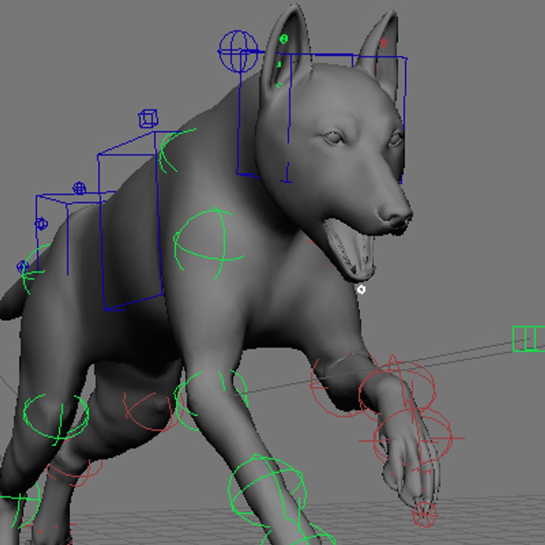 Photorealistic Wolf Canis Animation 3d Model