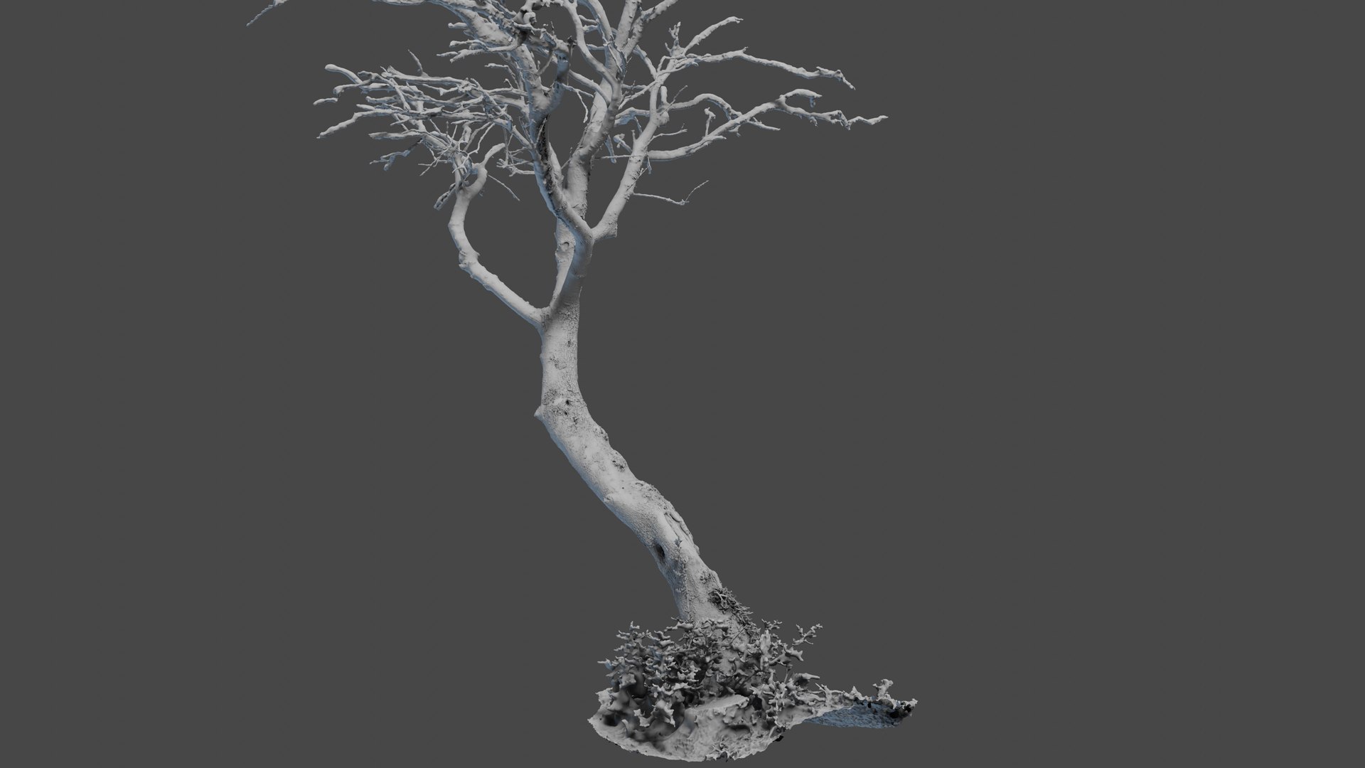 3D Model Lapenatree2 - TurboSquid 2116830