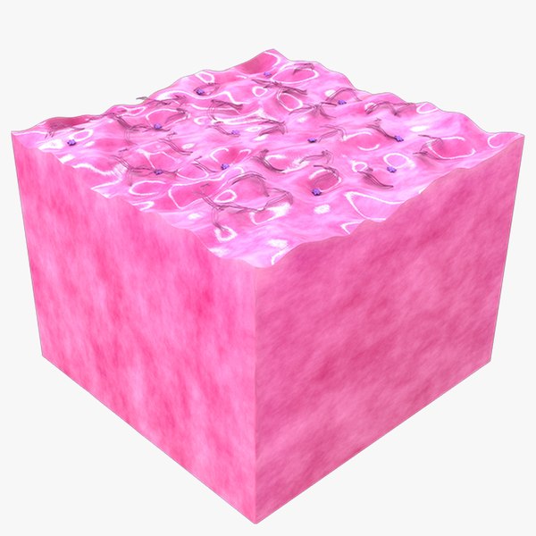 Skin Cell 3D Models for Download | TurboSquid