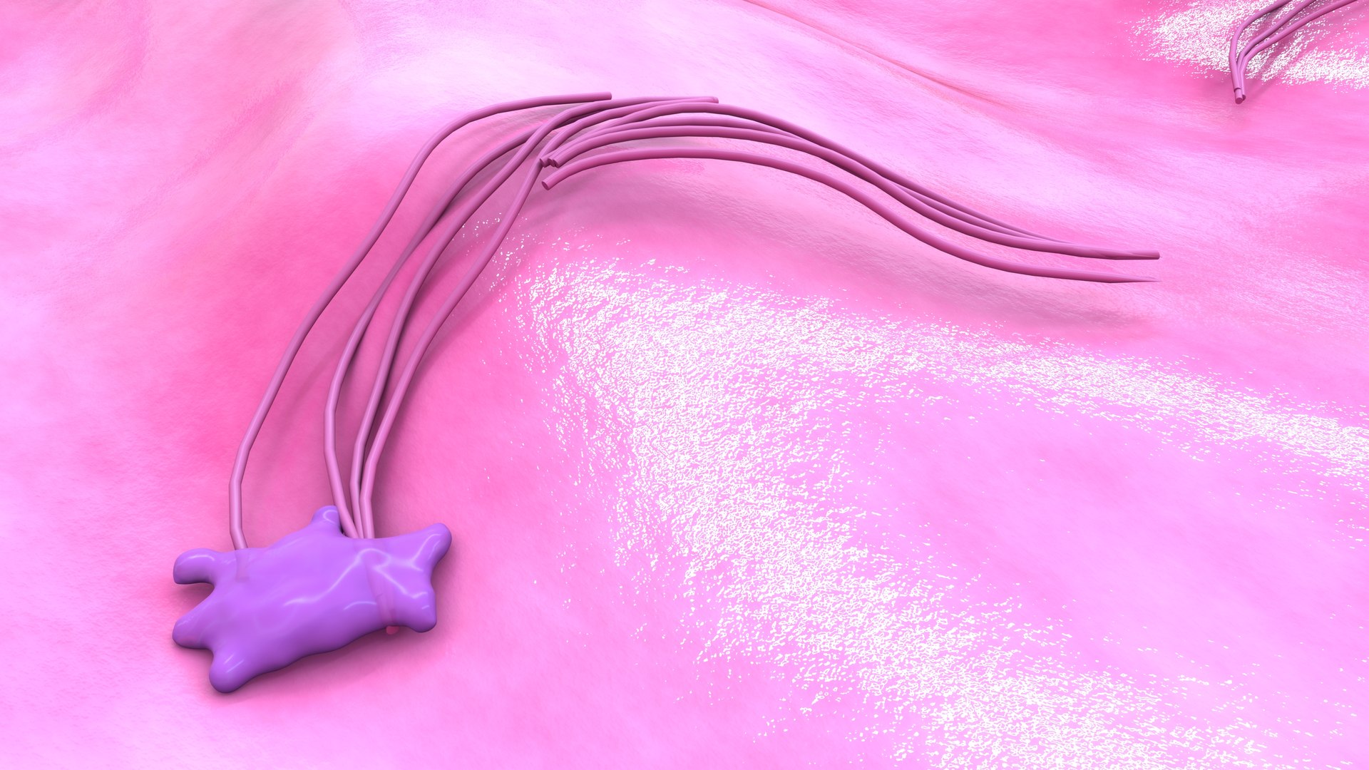 Dense Irregular Connective Tissue 3D Model - TurboSquid 2187132