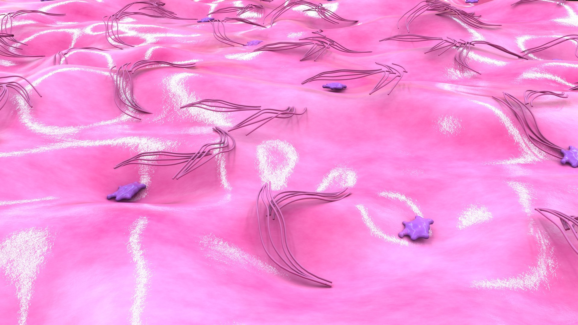 Dense Irregular Connective Tissue 3D Model - TurboSquid 2187132