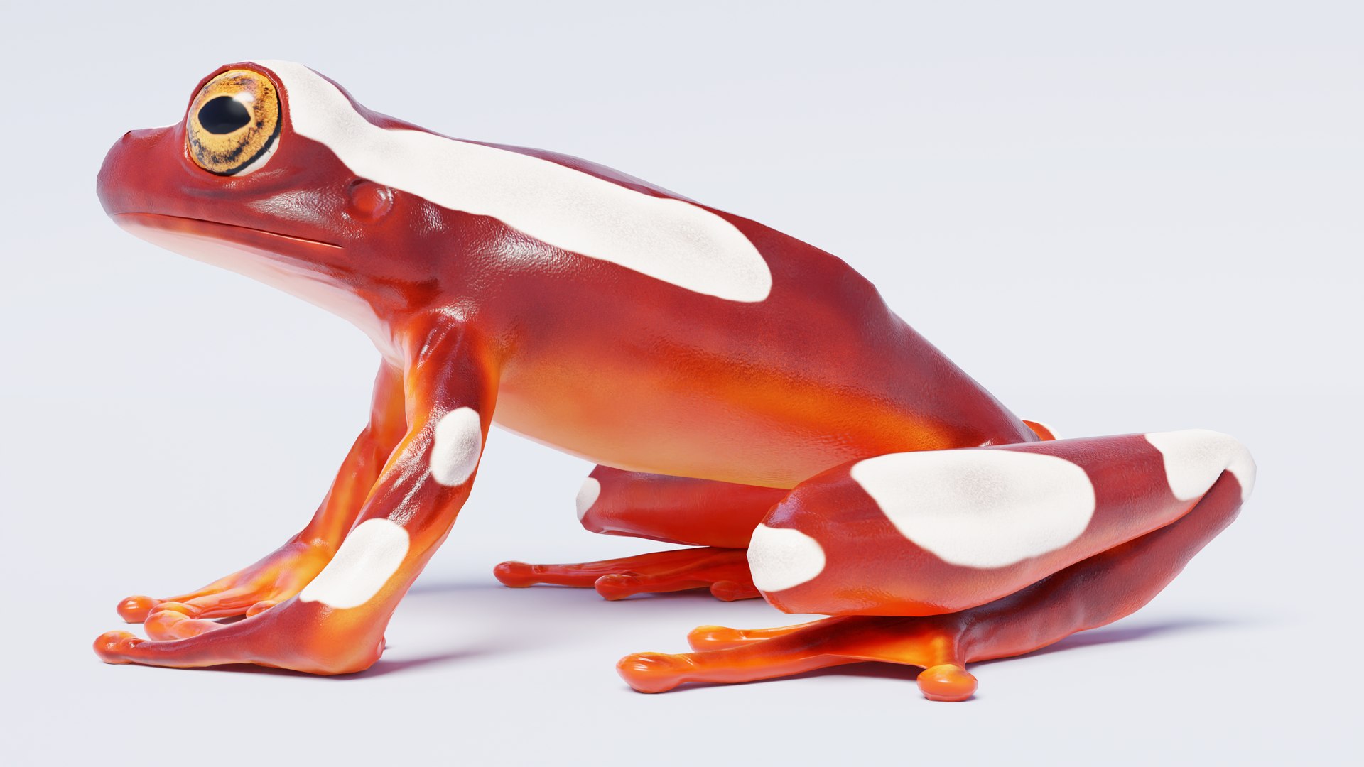 modelo 3d Clown Tree Frog - Rigged - TurboSquid 2031782