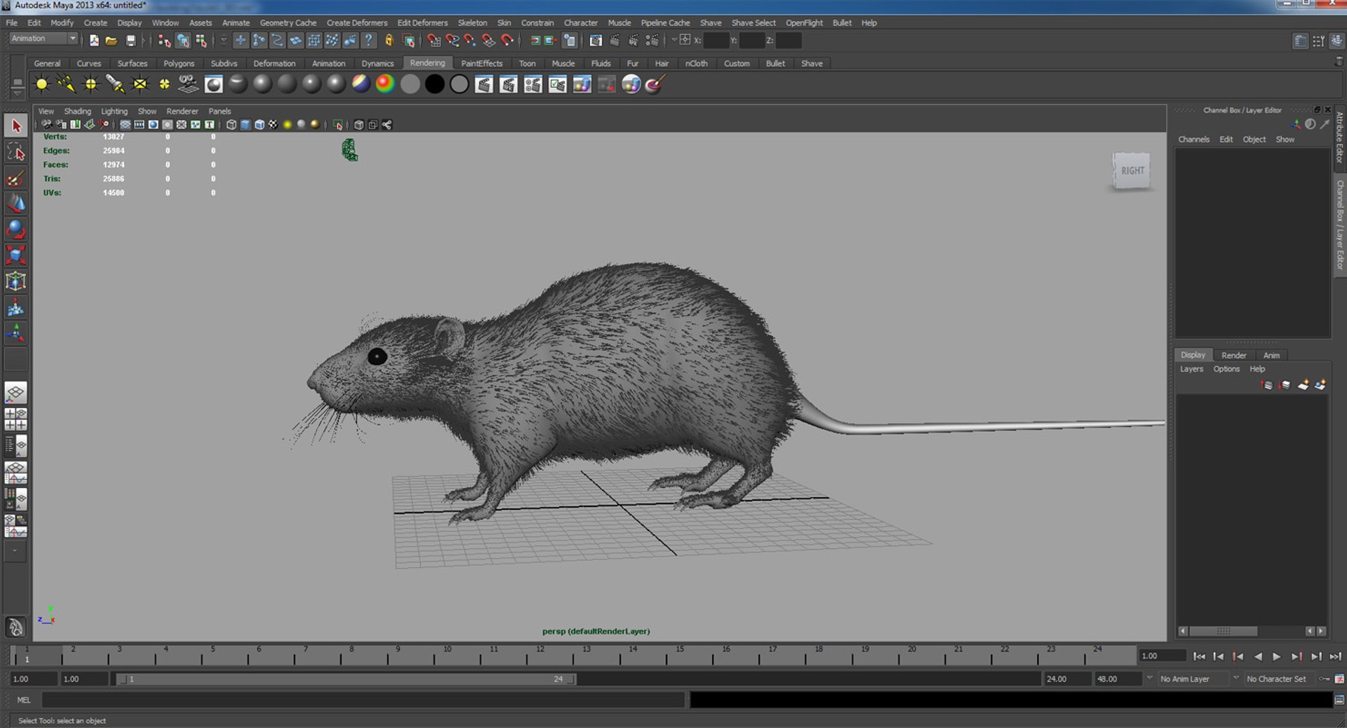 Rat 3D Model - TurboSquid 1434686