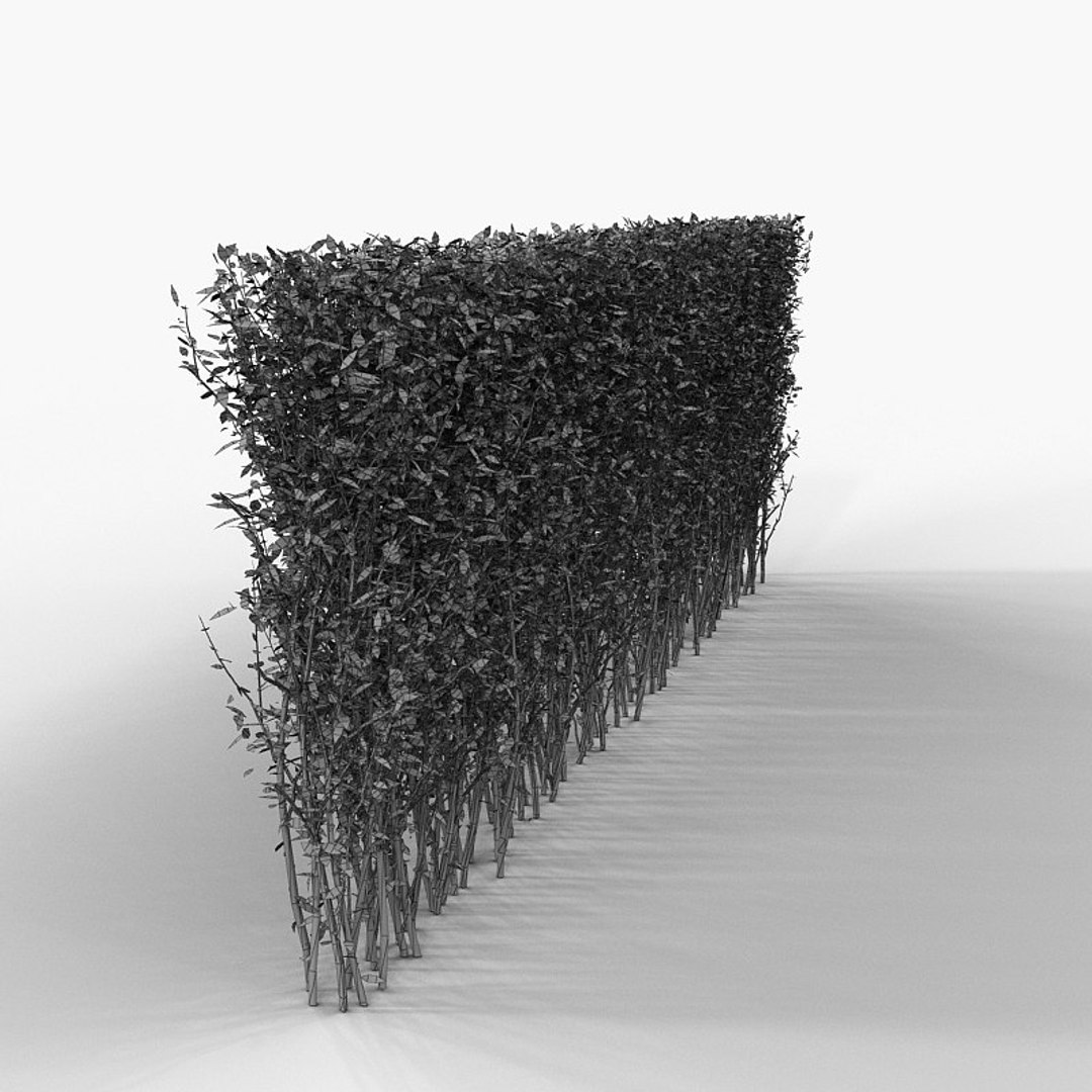 Hedge 3d Max