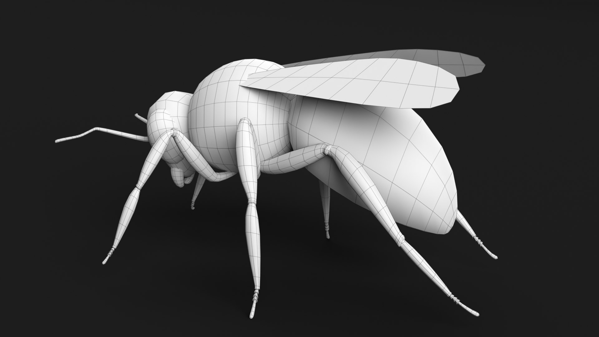 Bumblebee 3D Model - TurboSquid 2059469