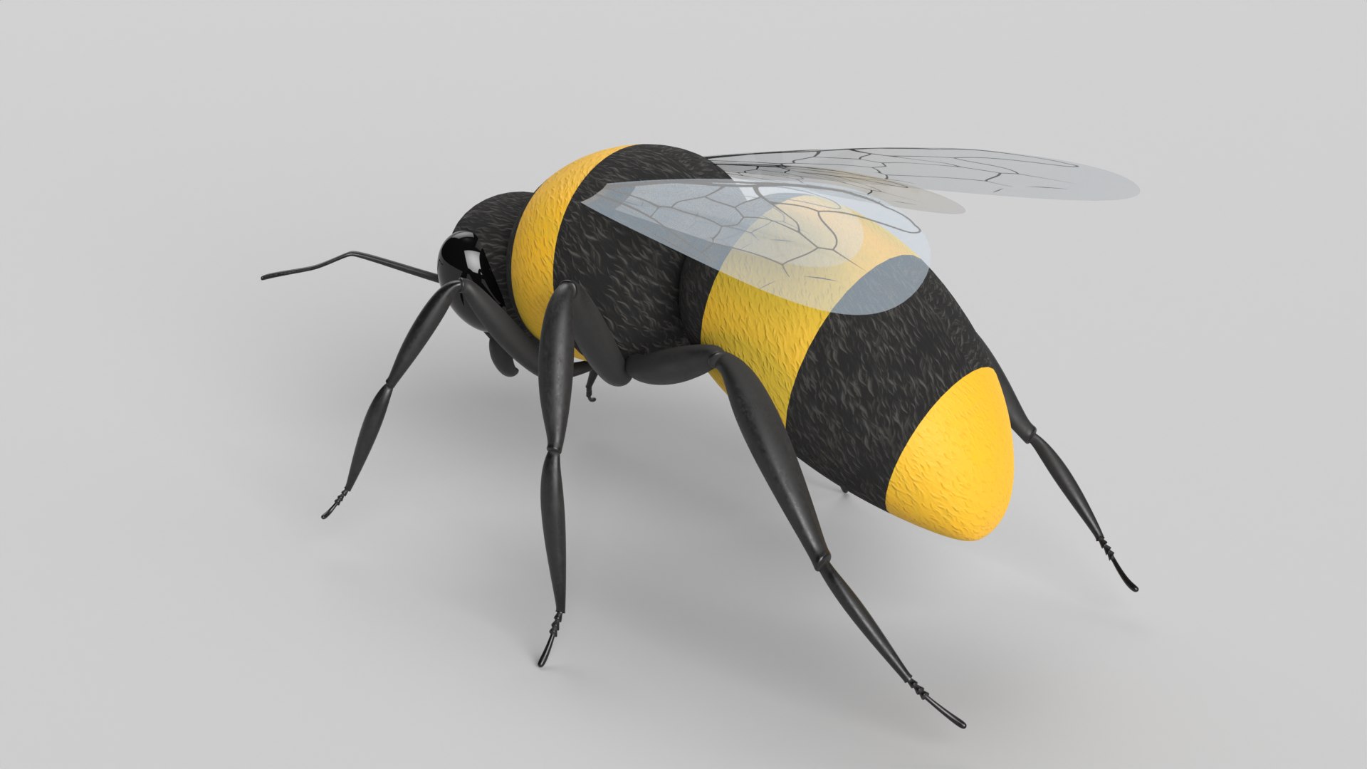 Bumblebee 3D Model - TurboSquid 2059469