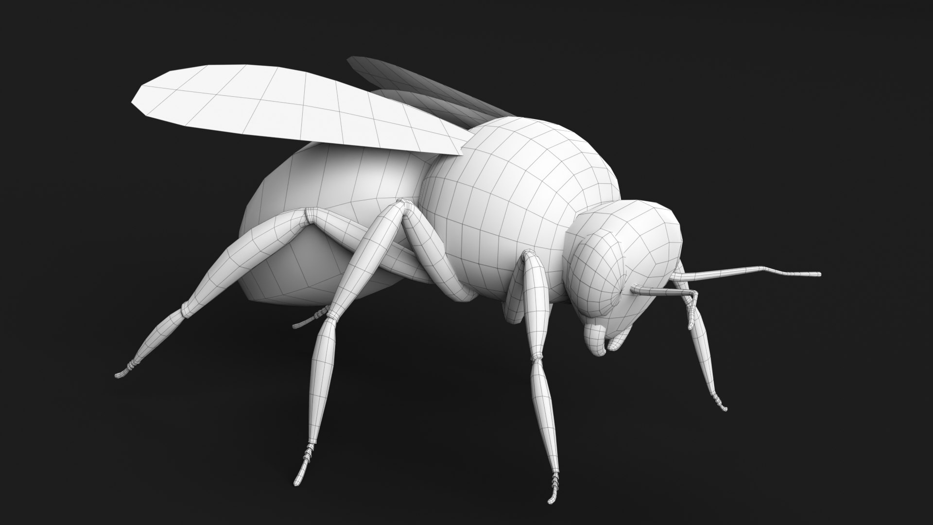 Bumblebee 3D Model - TurboSquid 2059469