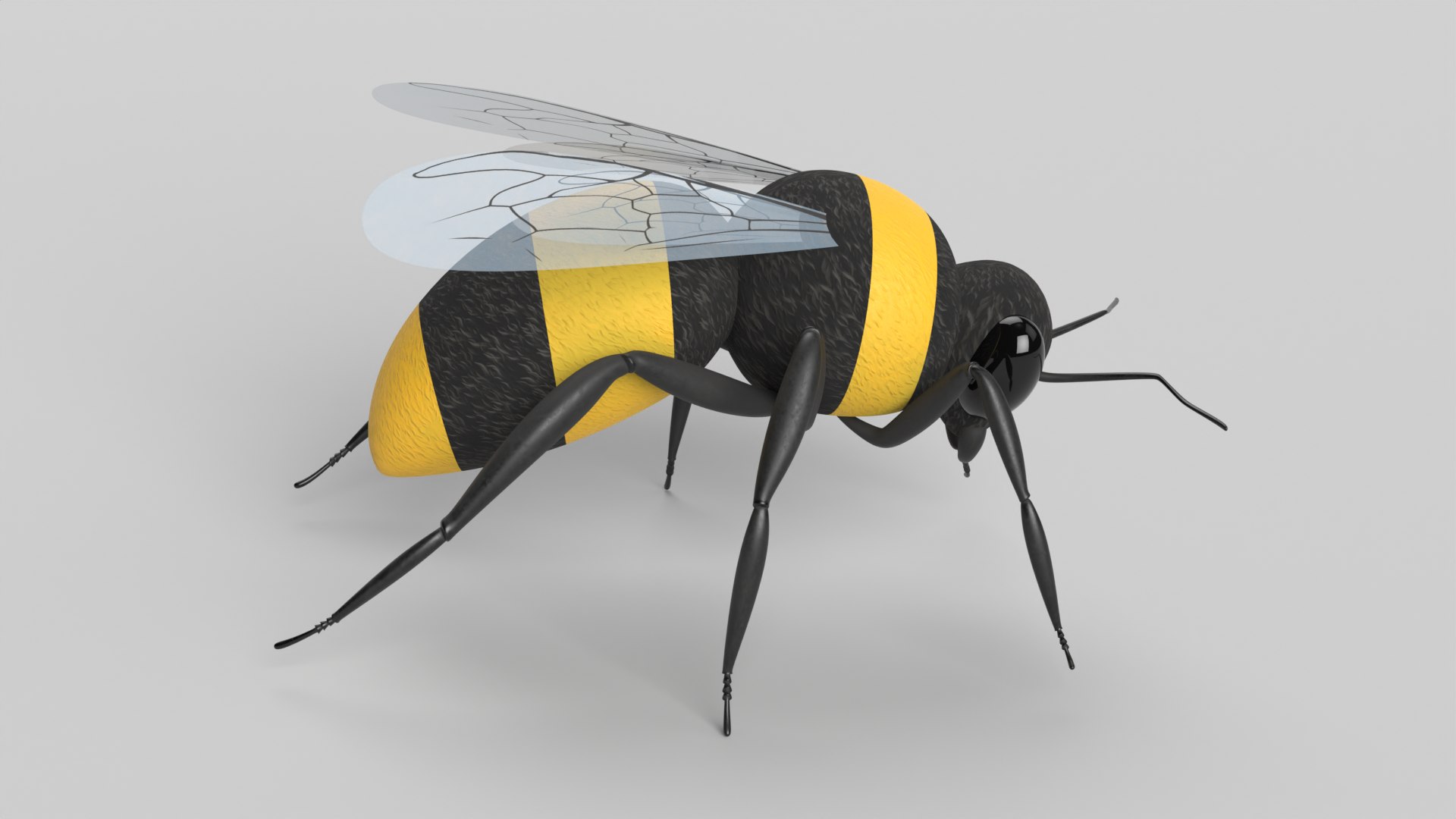 Bumblebee 3D Model - TurboSquid 2059469