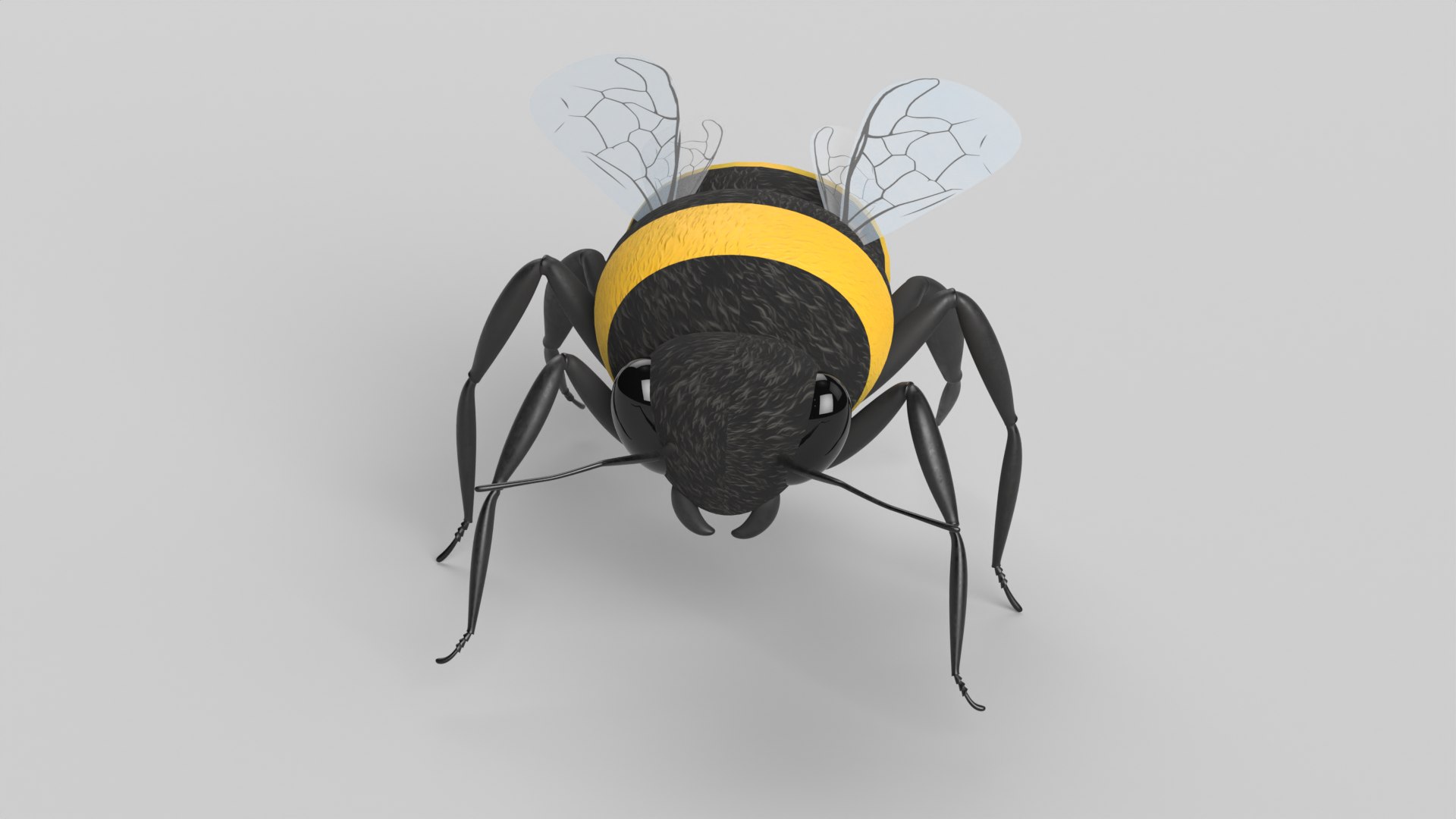 Bumblebee 3D Model - TurboSquid 2059469